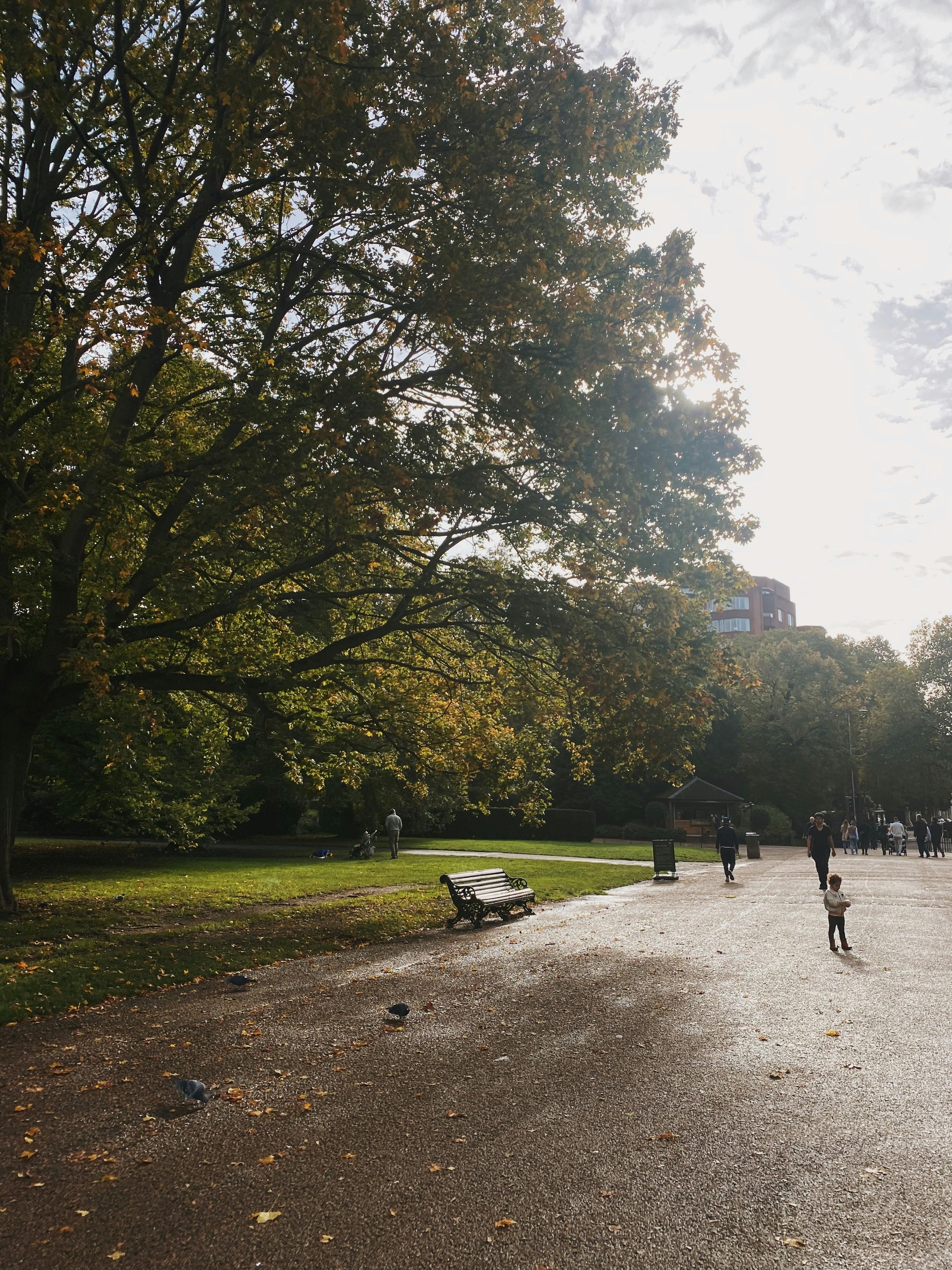 Footpath in a Park · Free Stock Photo