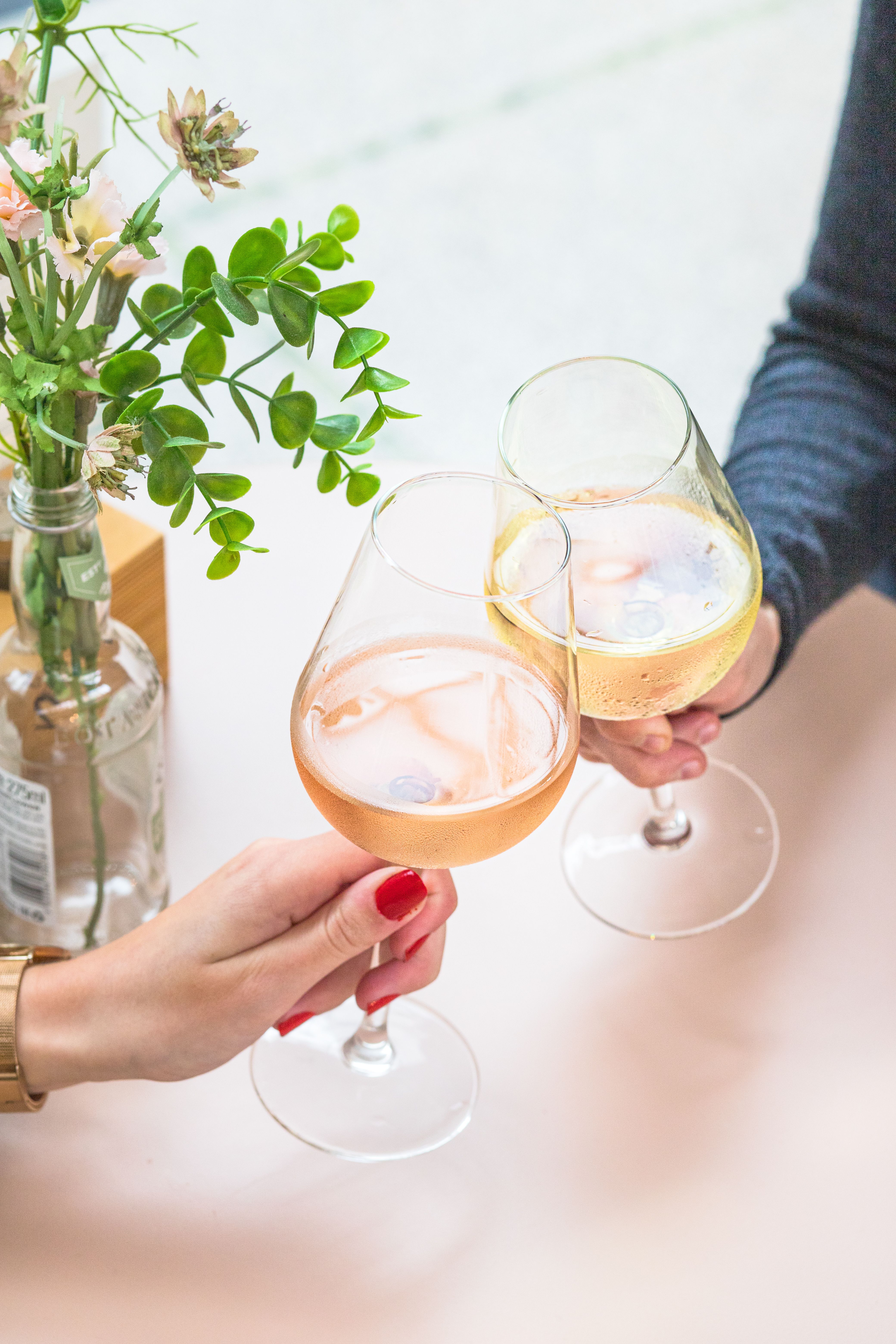 People Having a Toast · Free Stock Photo