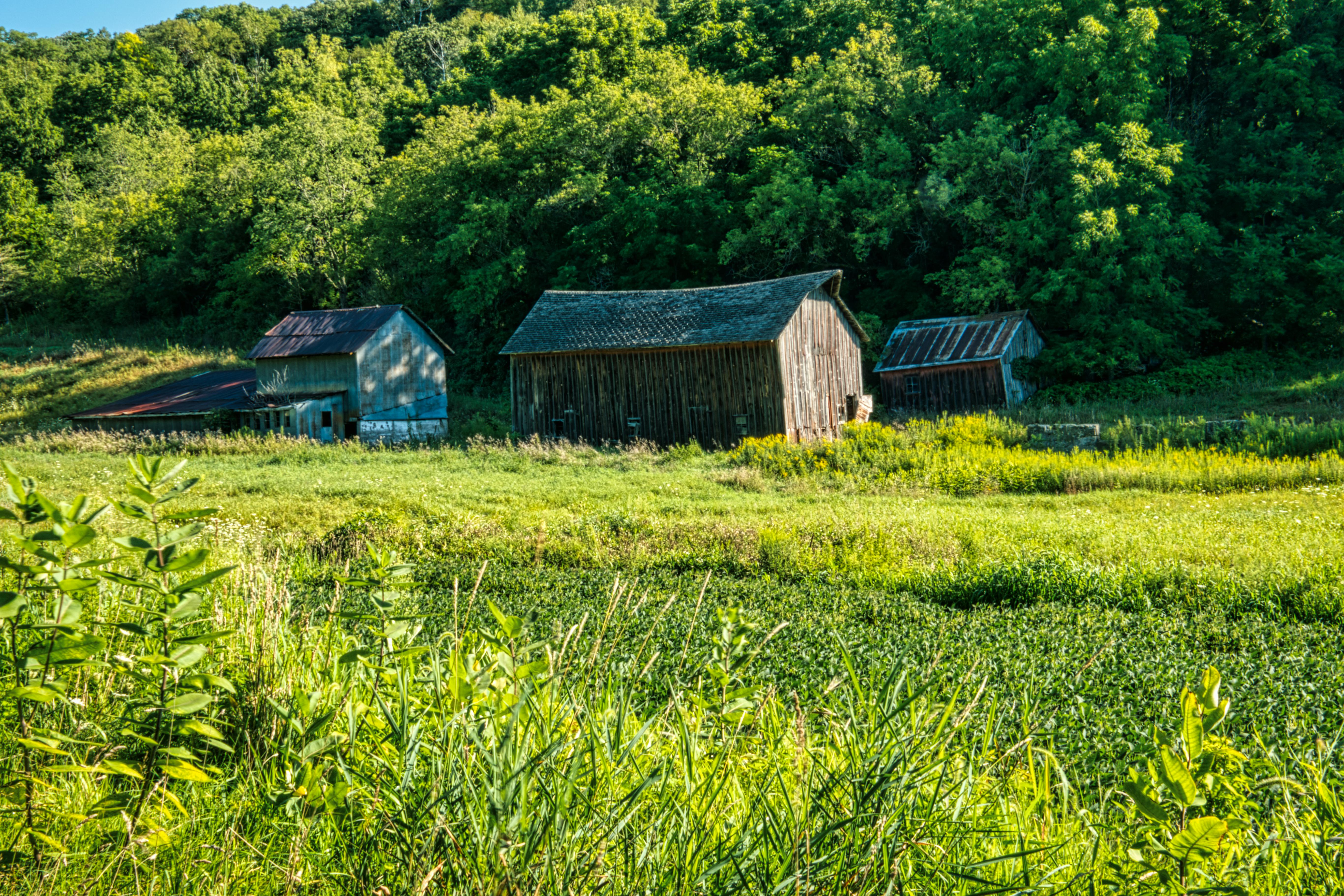 Old Houses on a Field · Free Stock Photo