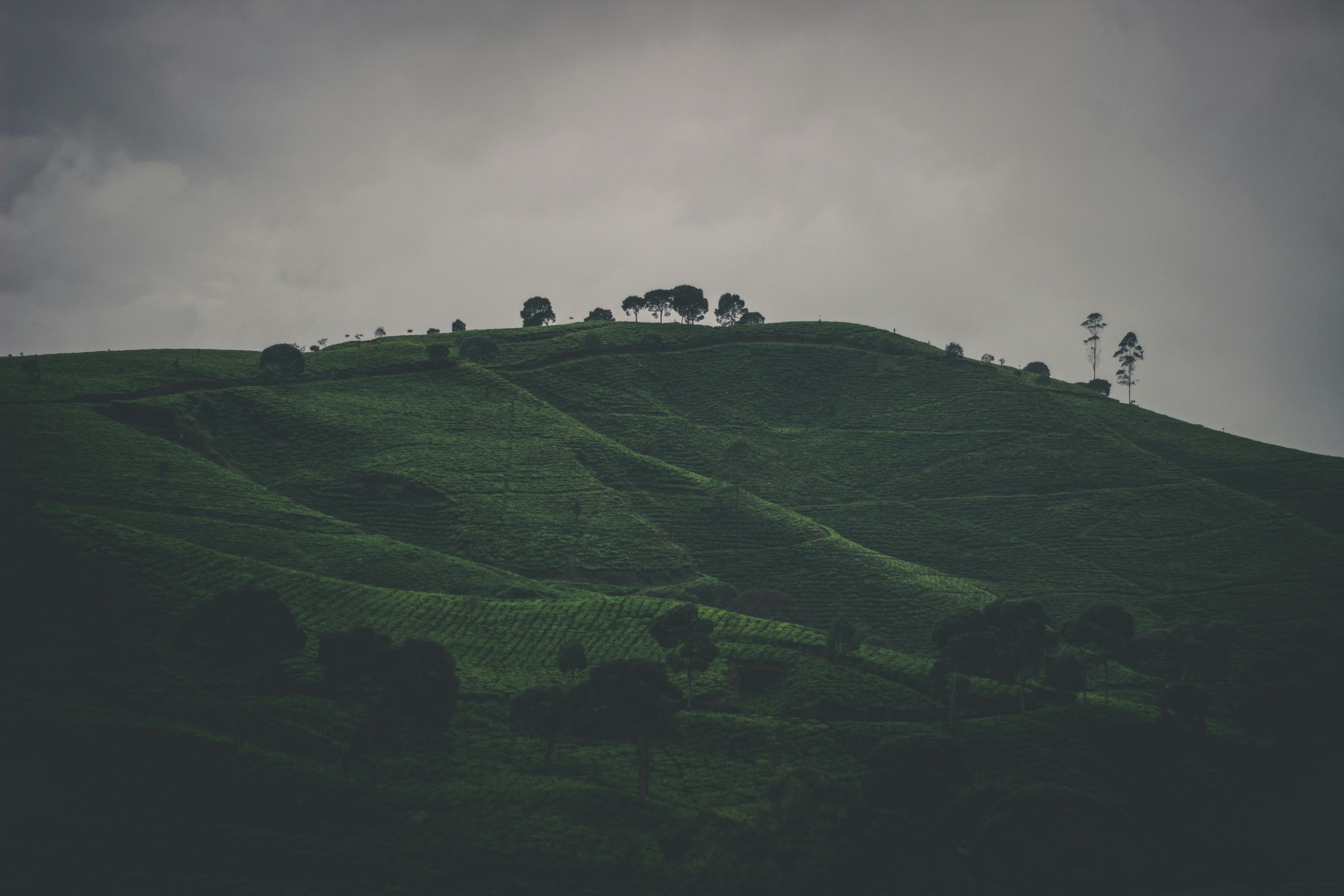 Grassy Mountain · Free Stock Photo