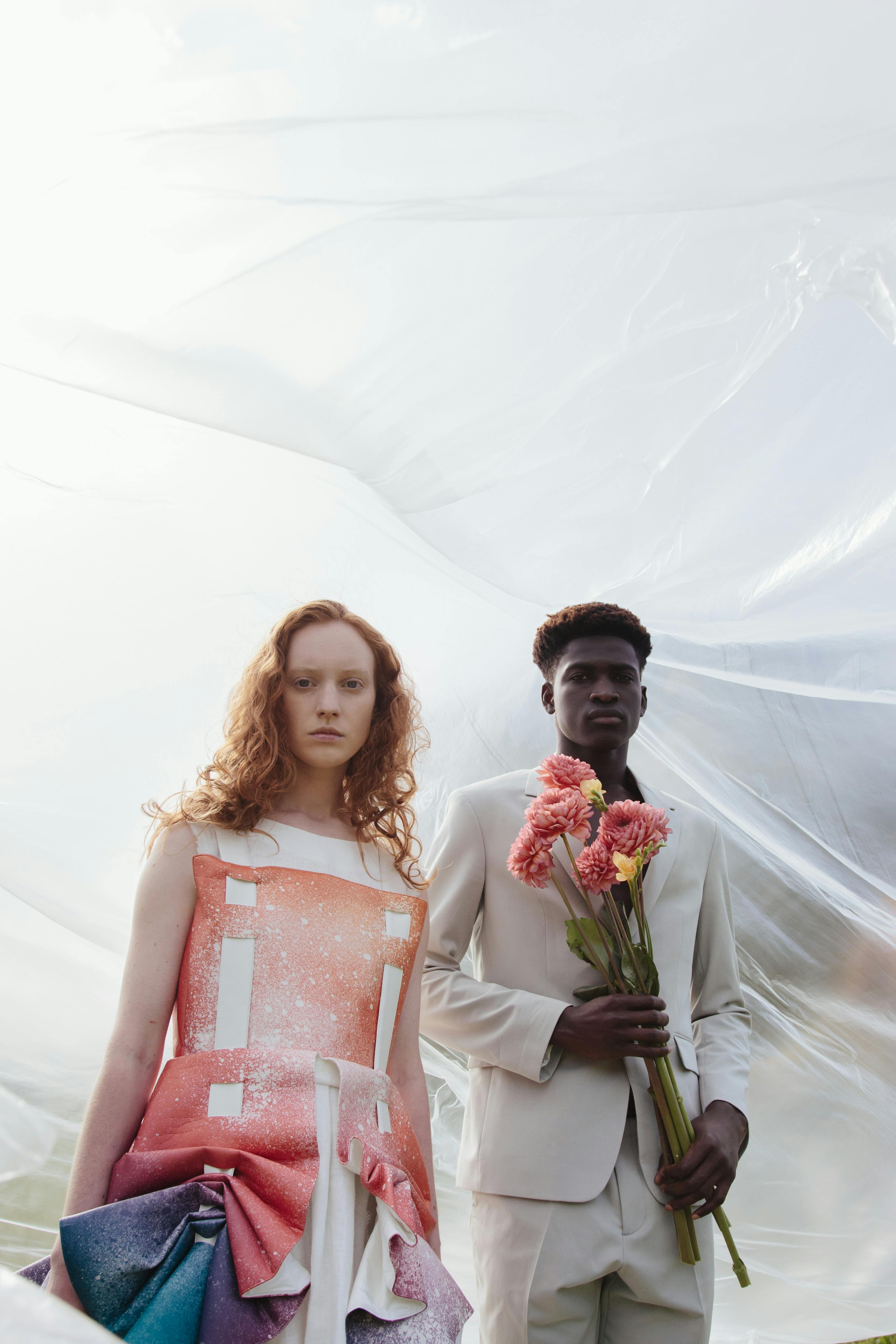 Translucent Backdrop Photos, Download The BEST Free Translucent ...