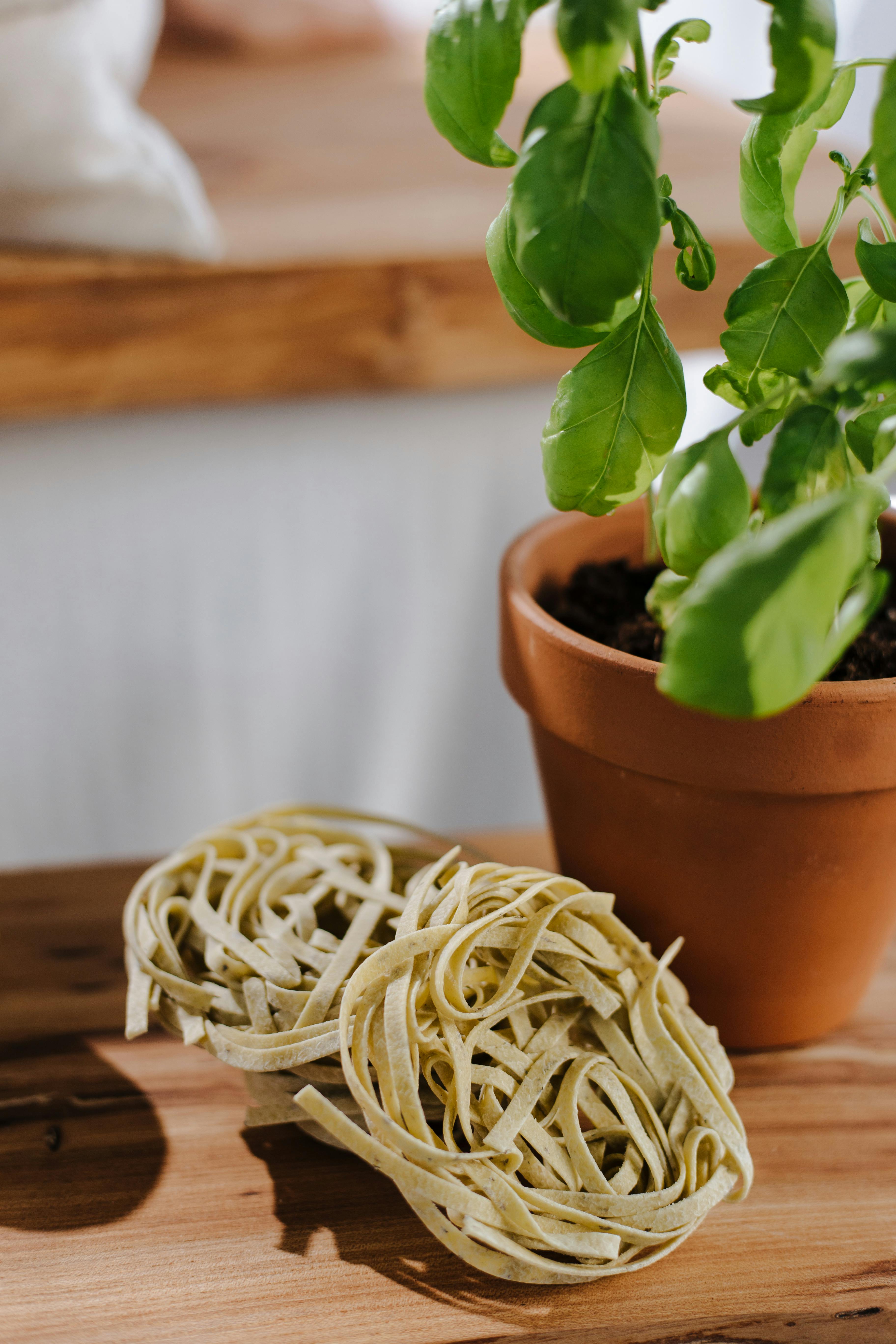 Pasta with Herbs · Free Stock Photo