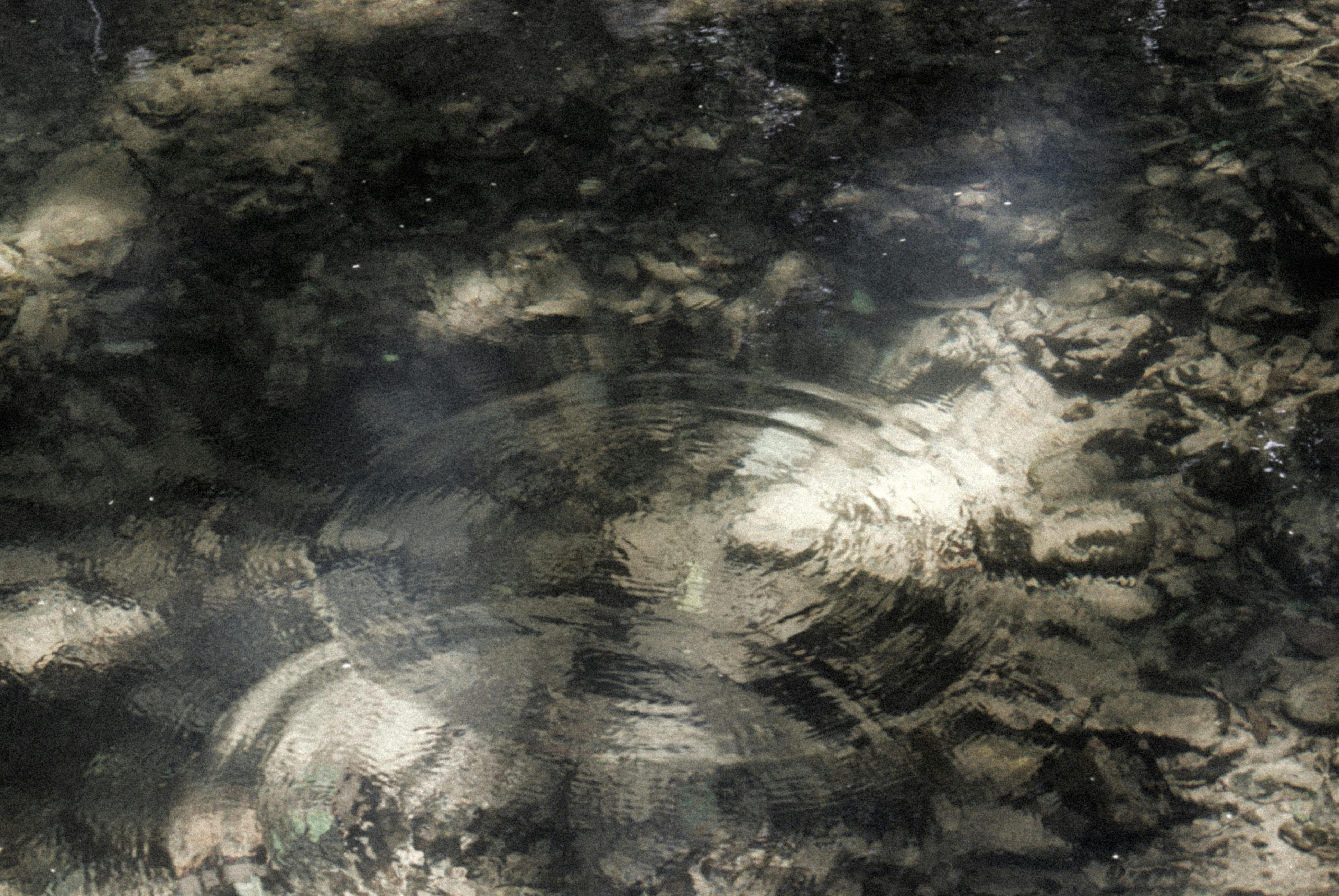 Grayscale Photo of Water Surface · Free Stock Photo