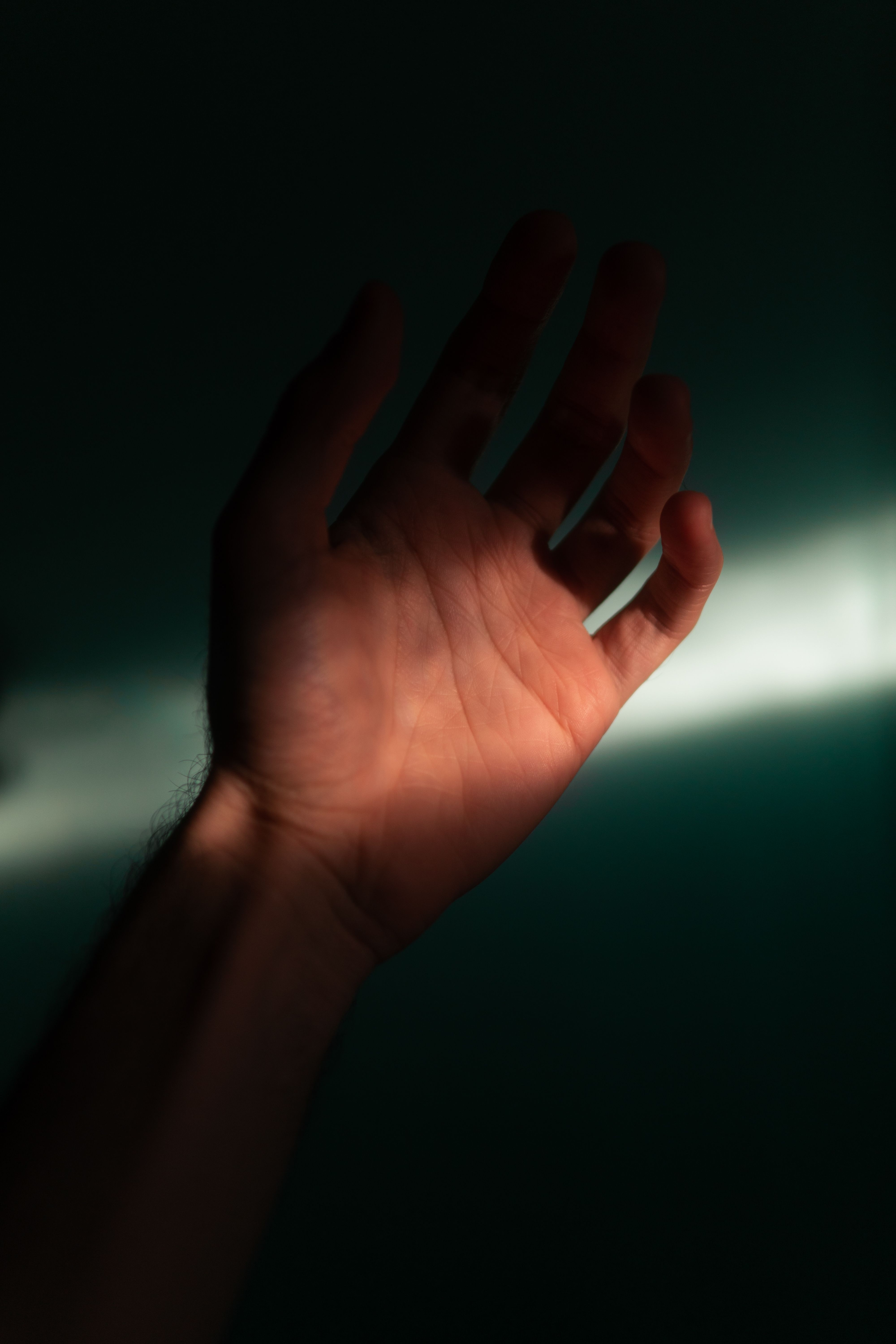 Close-Up Shot of a Person's Palm · Free Stock Photo