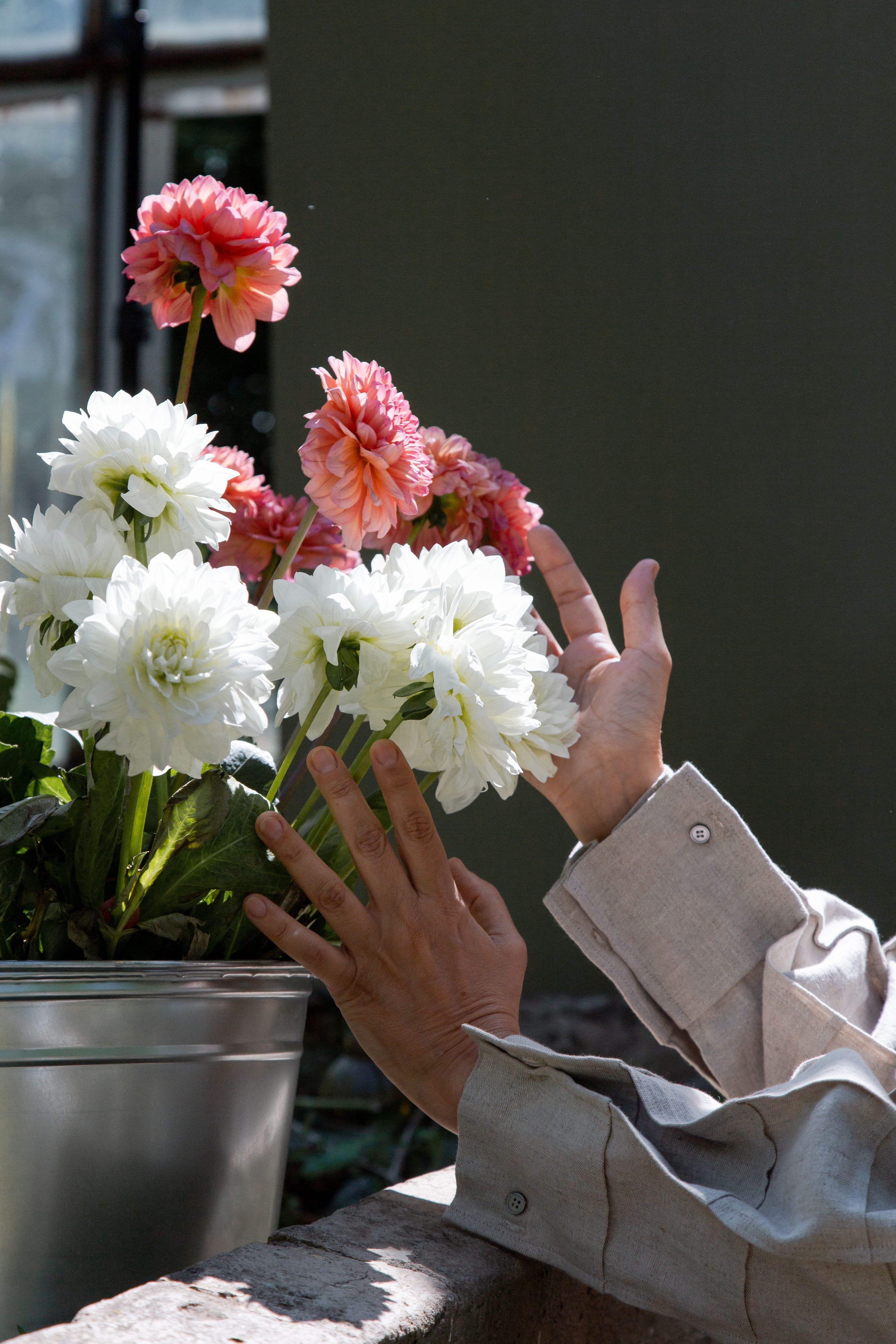 Touching Flowers Photos, Download The BEST Free Touching Flowers Stock ...