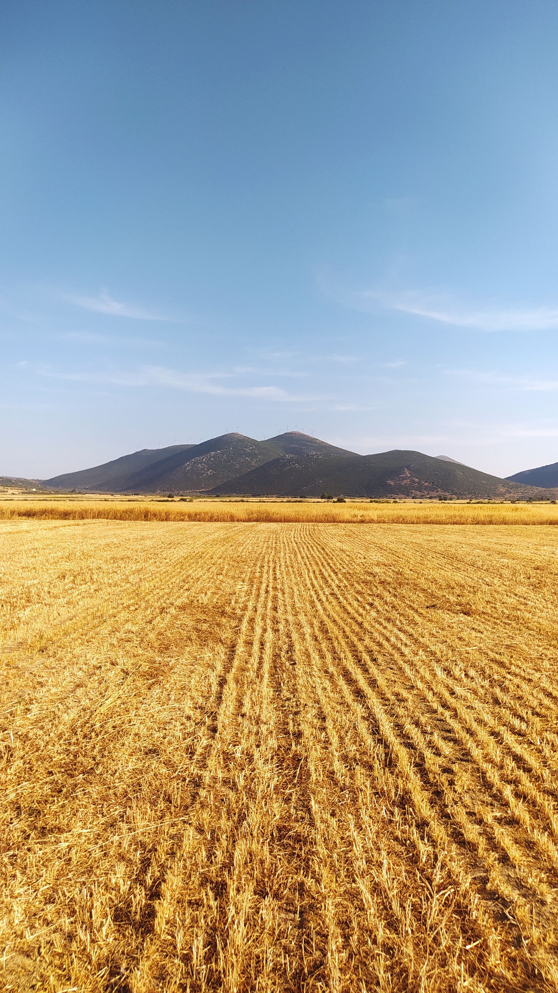 Brown Field Near Mountain Under Blue Sky · Free Stock Photo