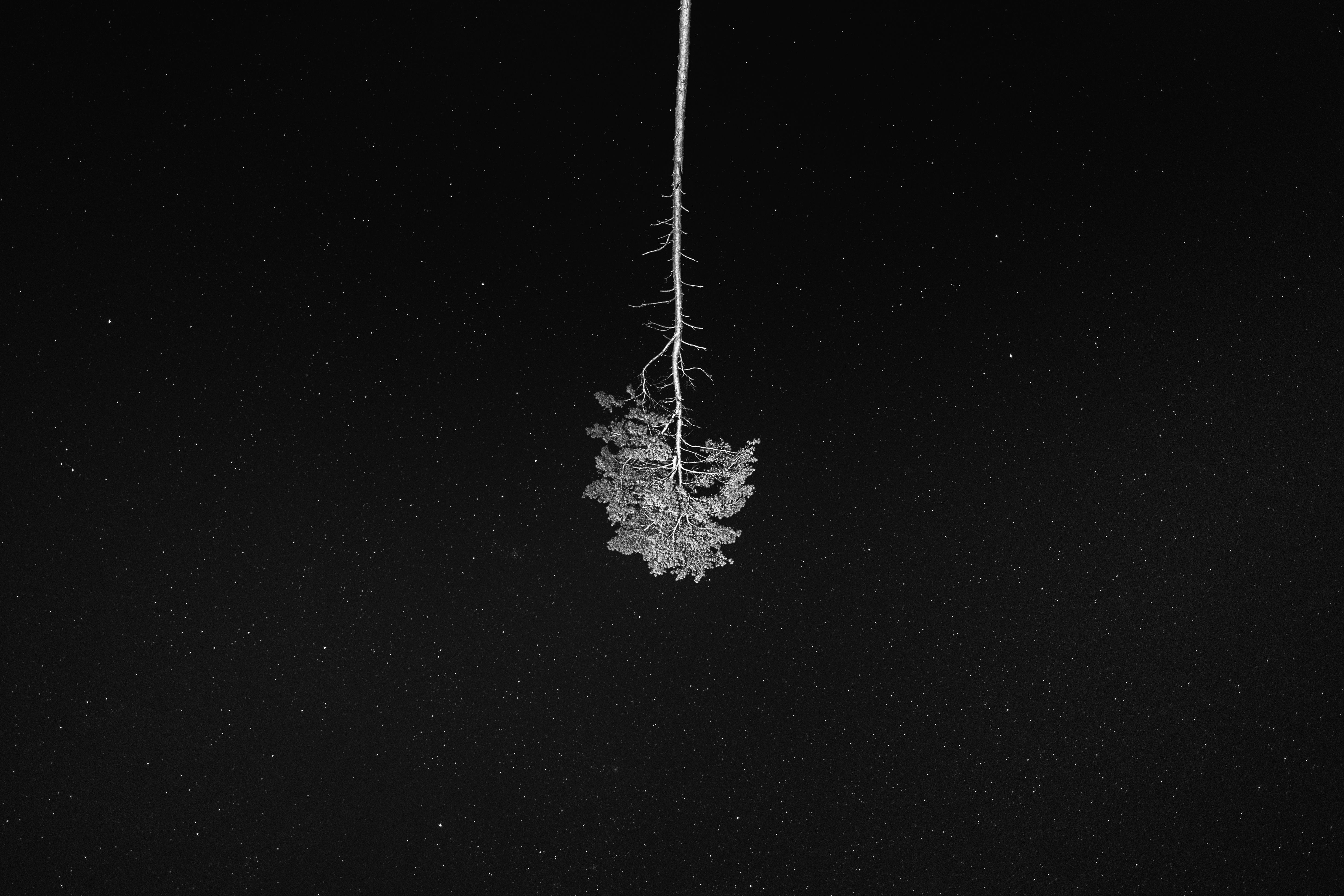 Inverted Stars Photos, Download The BEST Free Inverted Stars Stock ...