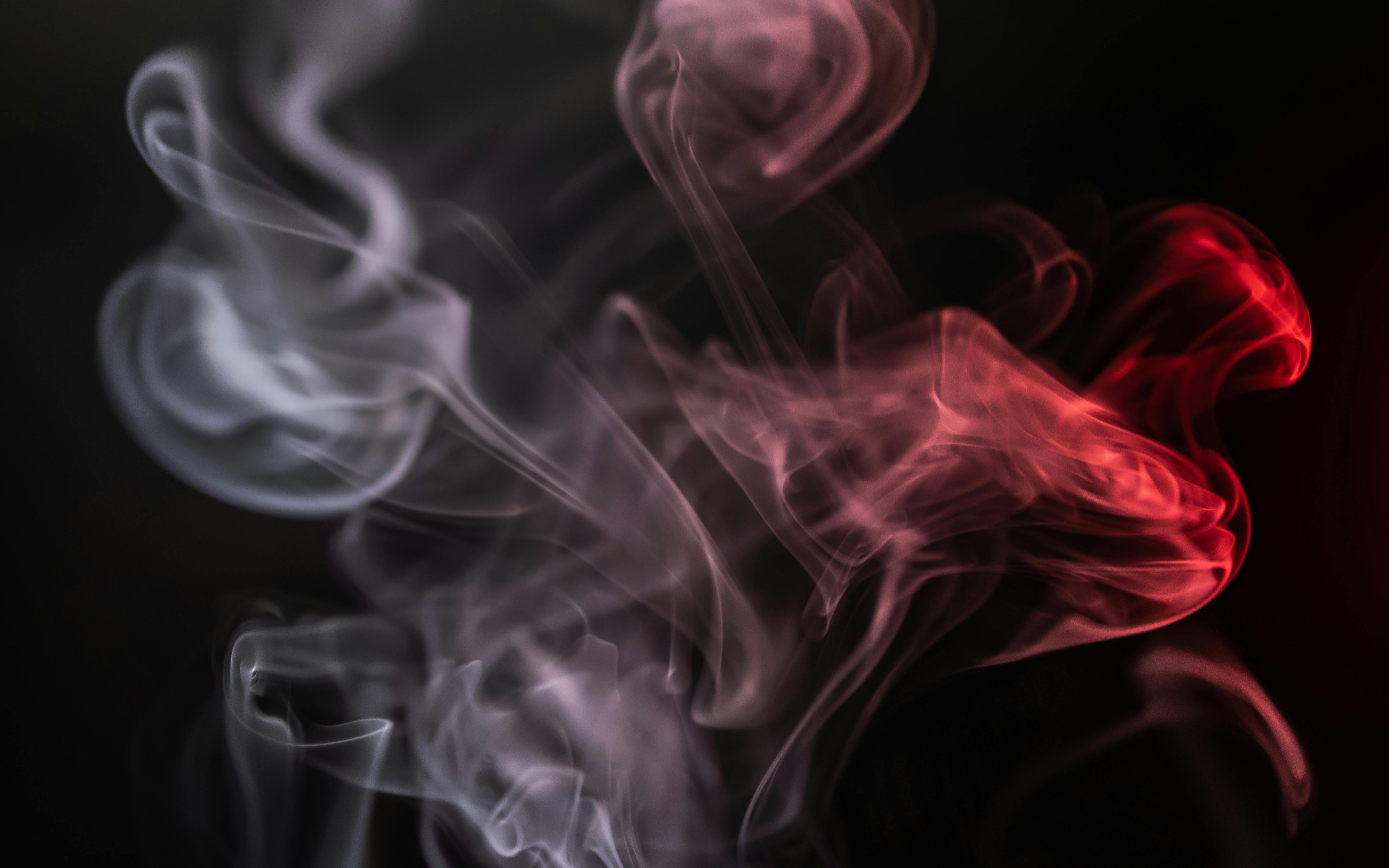 Red And White Split Photos, Download The BEST Free Red And White Split ...
