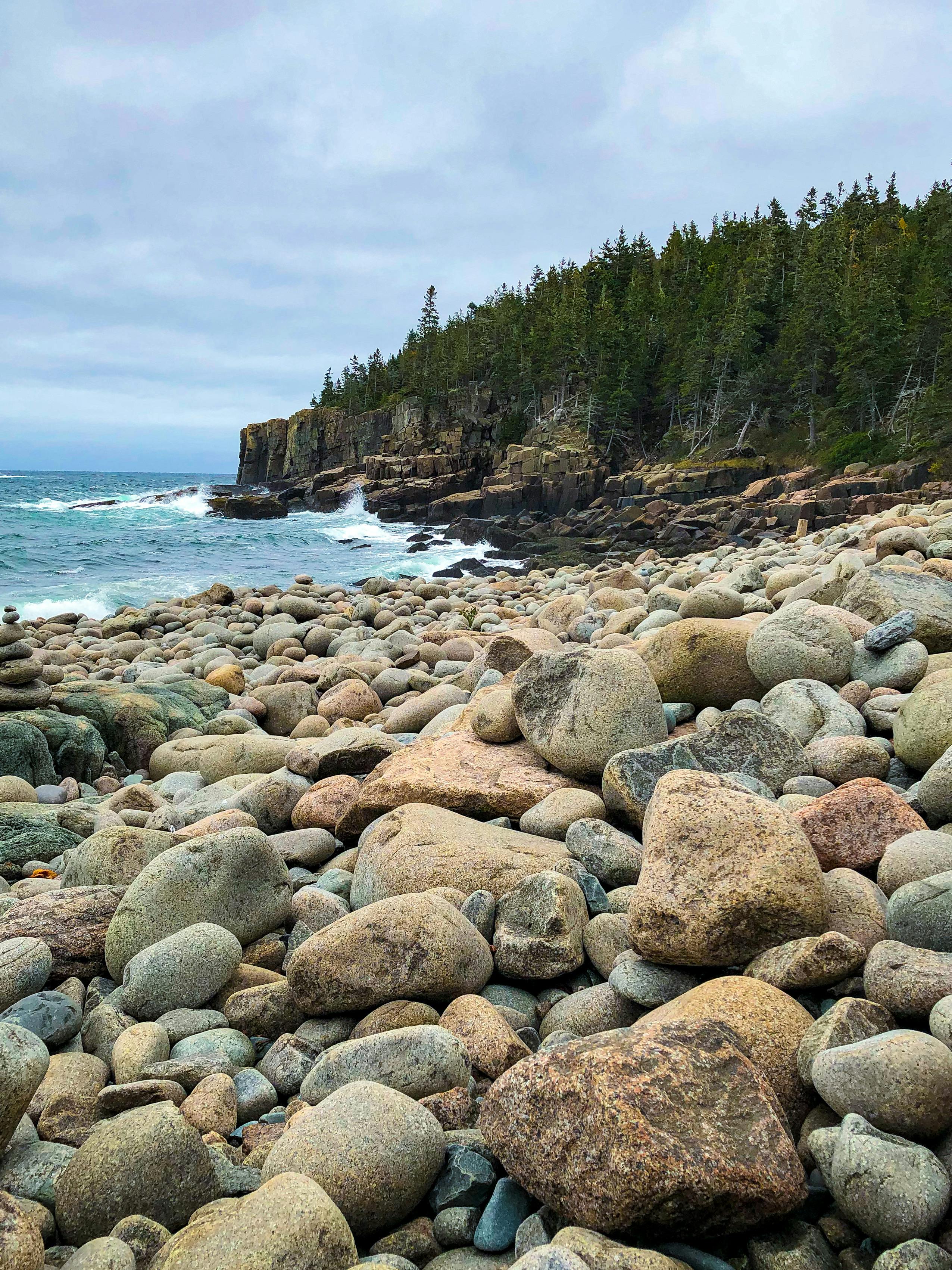 Brown Rocks on Seashore Near Green Trees · Free Stock Photo