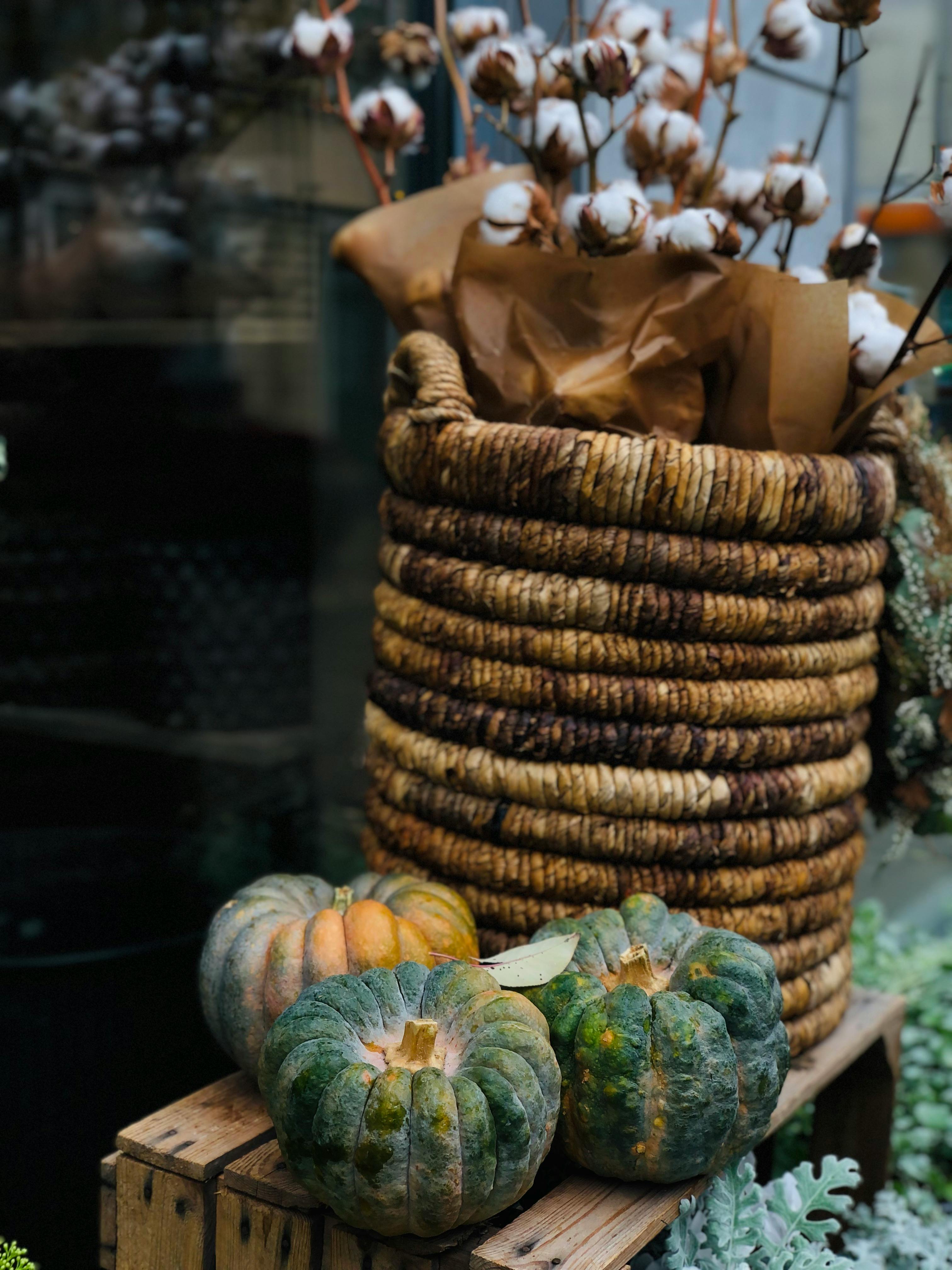 20+ Best Okay Photos · 100% Free Download · Pexels Stock Photos