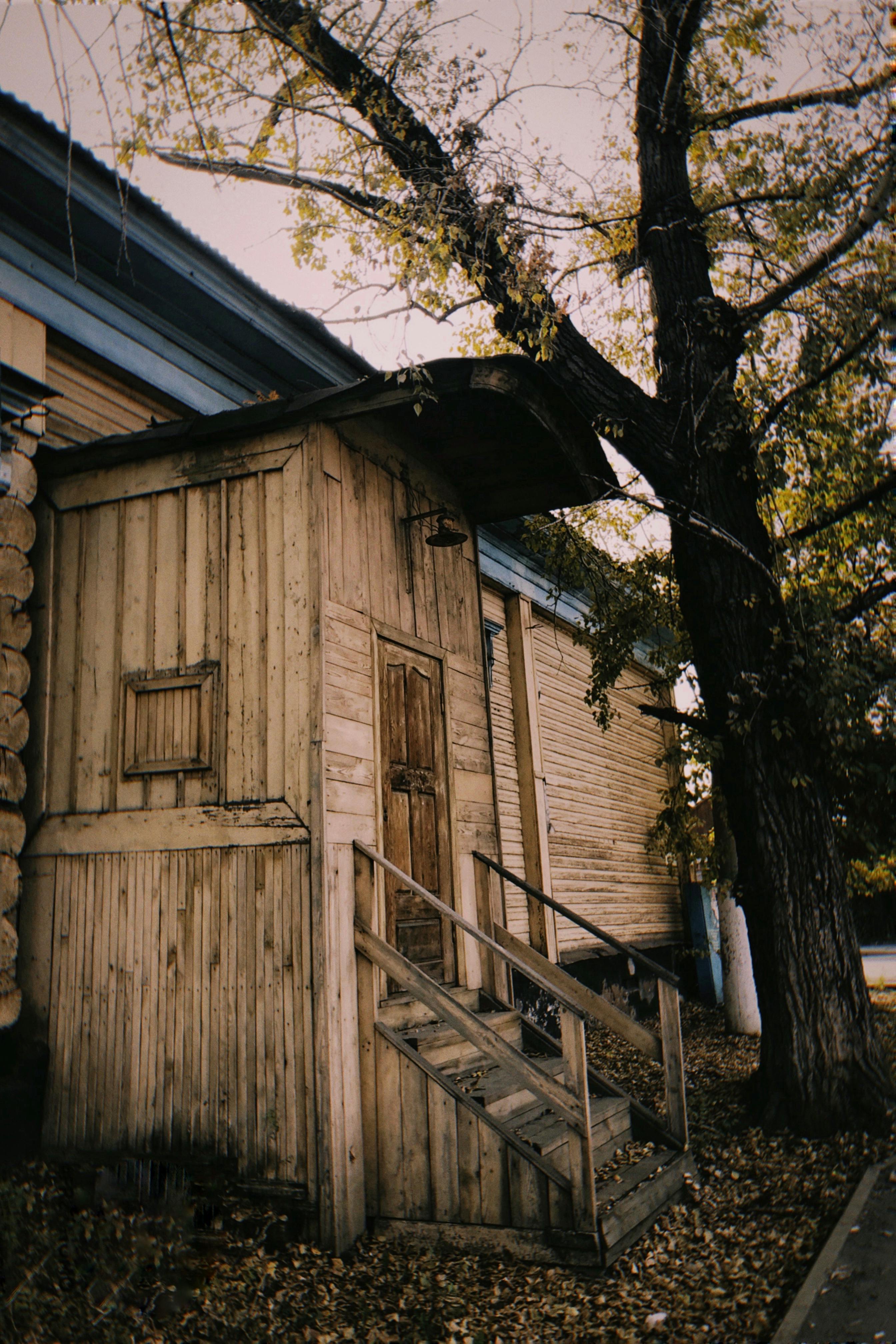 Brown Wooden House Beside a Tree · Free Stock Photo