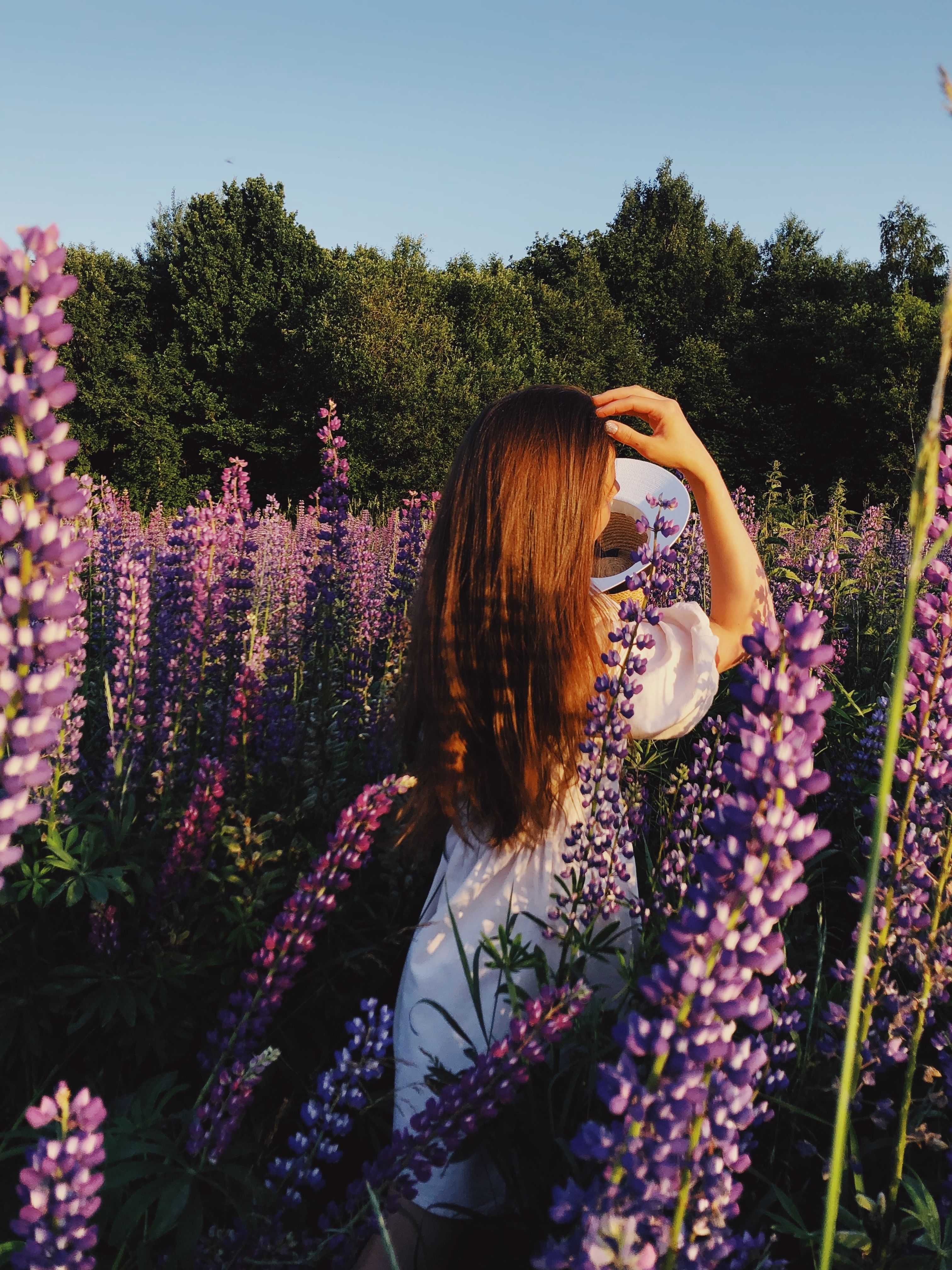 Photo of Woman Looking at a Flower Field. · Free Stock Photo