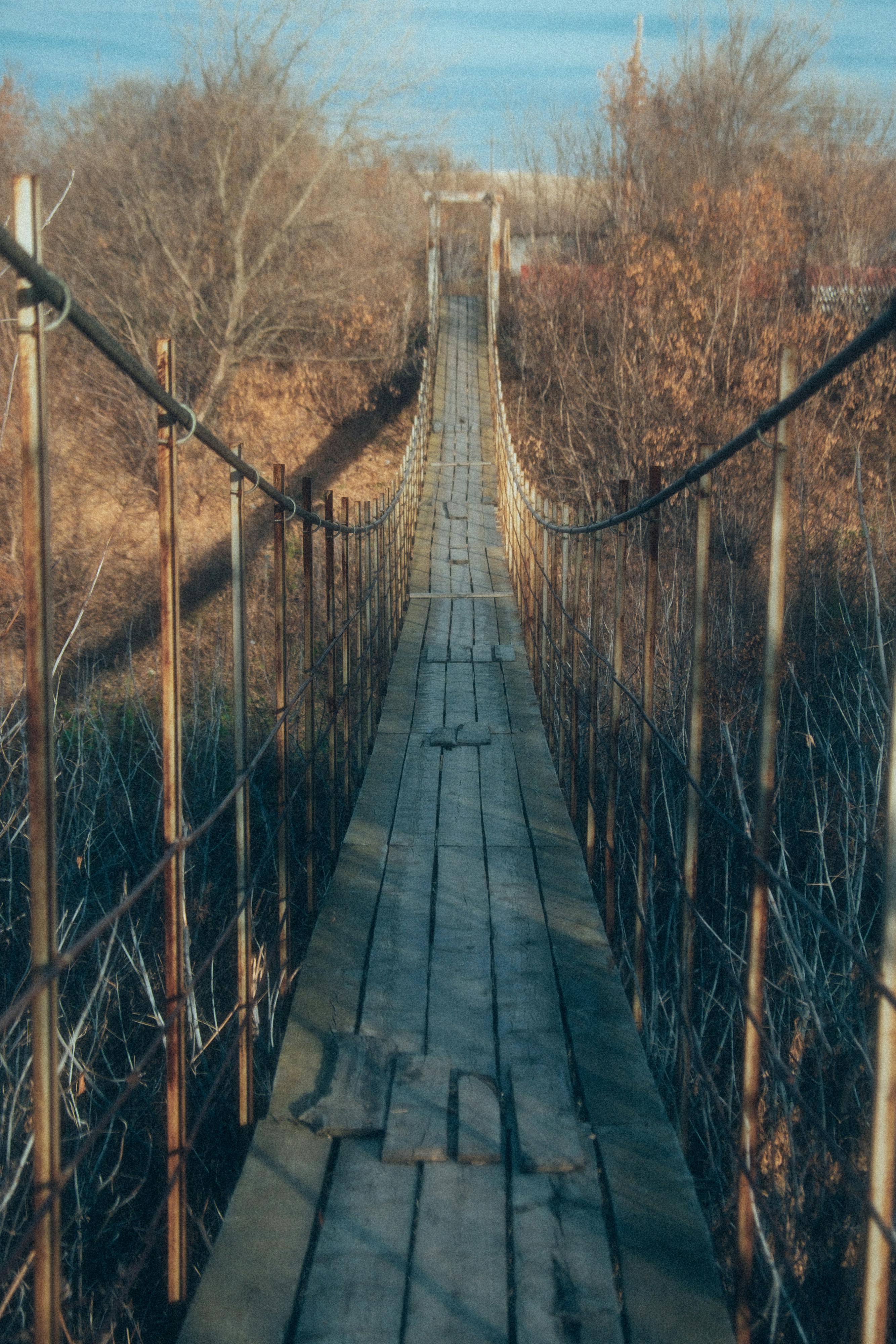 Photo of a Wooden Bridge · Free Stock Photo