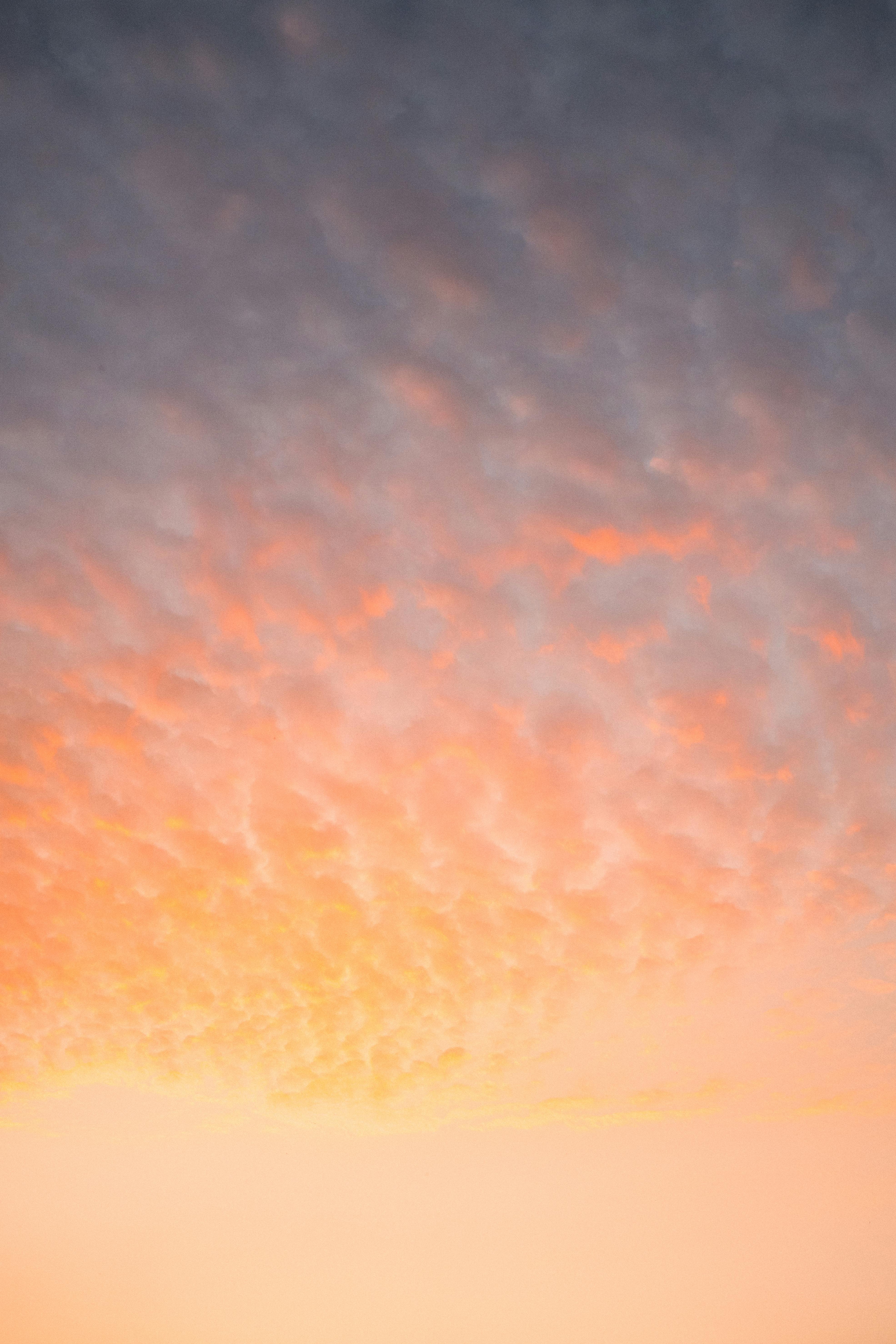 Mild Gradient Photos, Download The BEST Free Mild Gradient Stock Photos ...