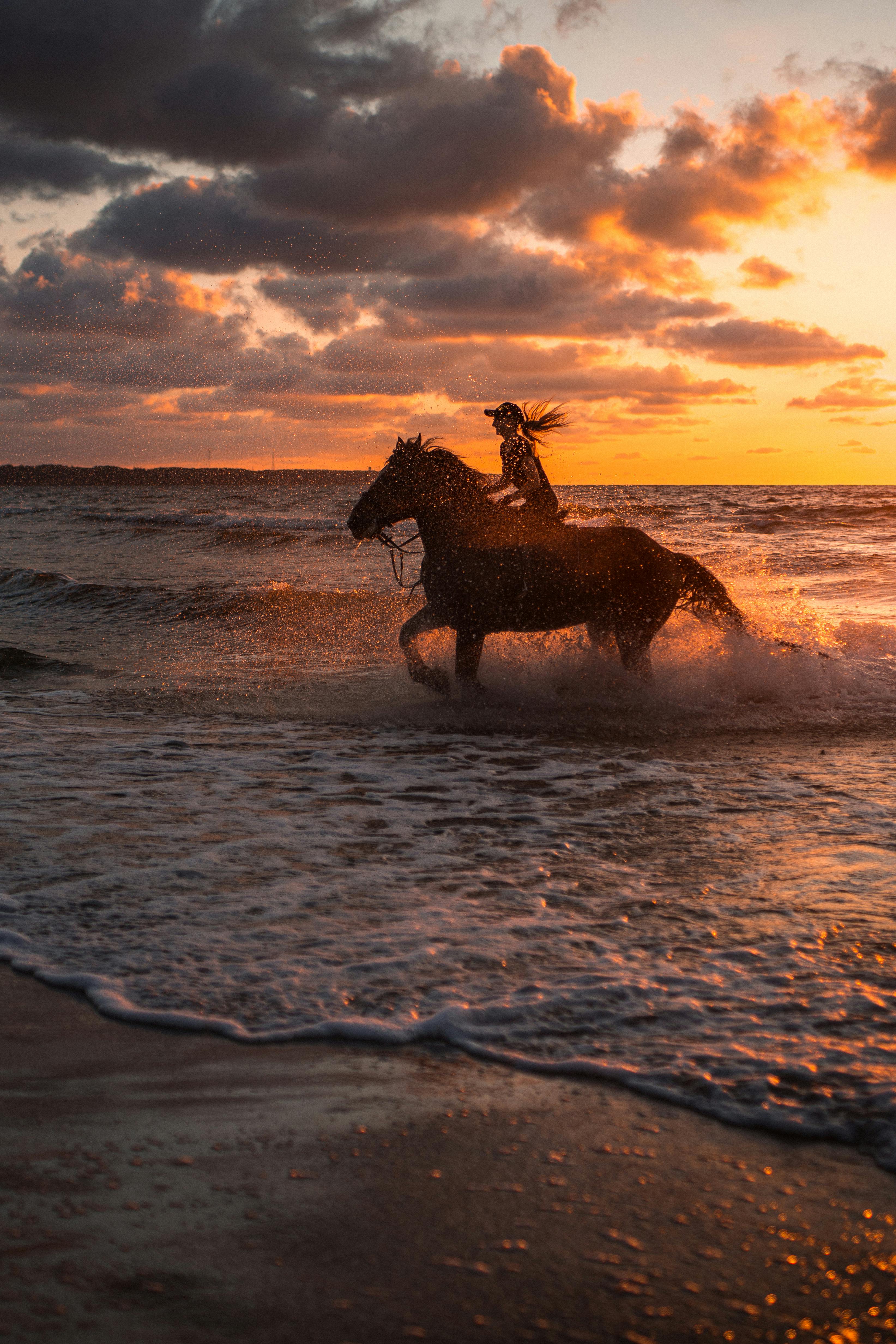 People Horseback Riding along Sea at Sunset · Free Stock Photo