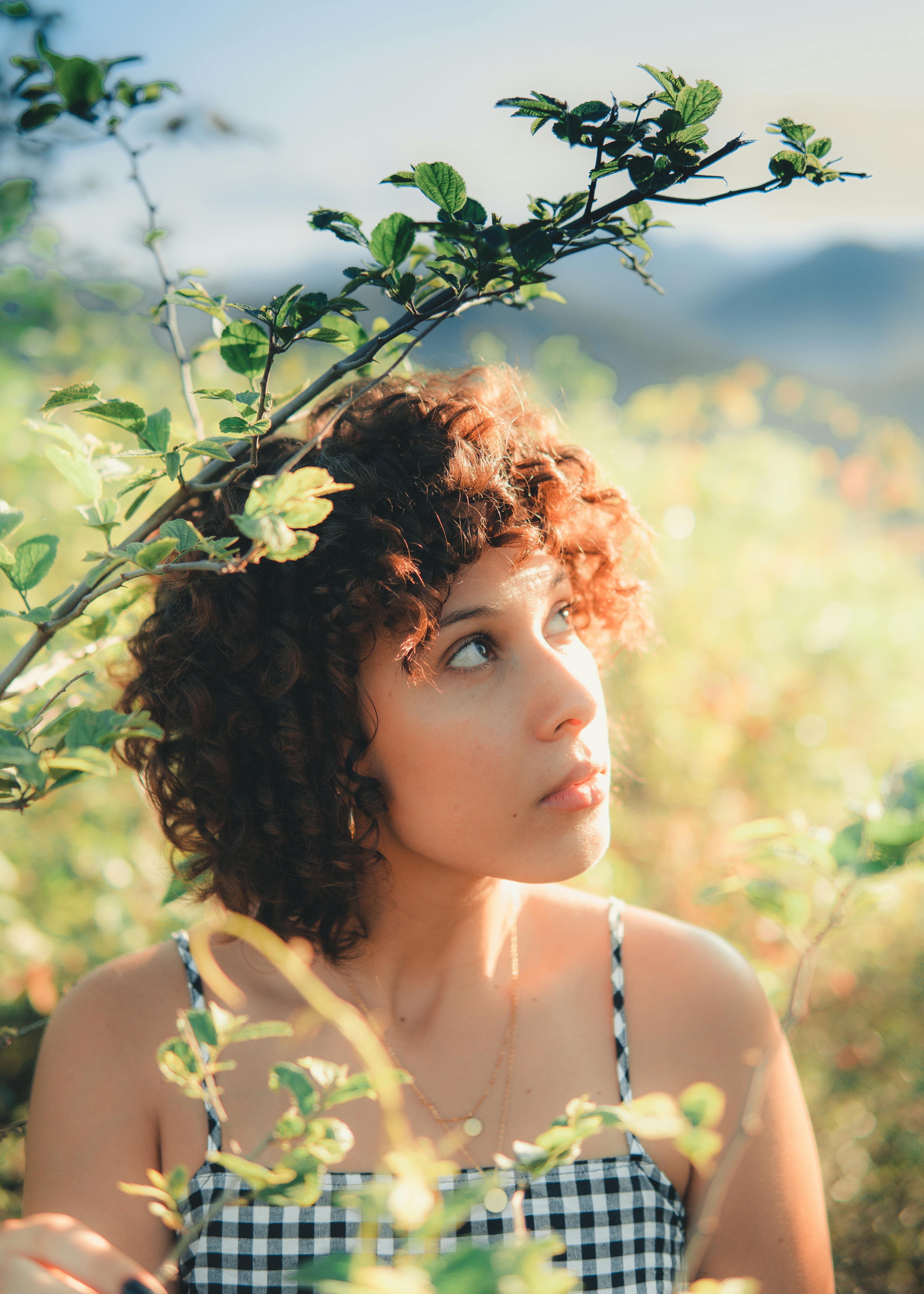 Curly Branch Photos, Download The BEST Free Curly Branch Stock Photos ...