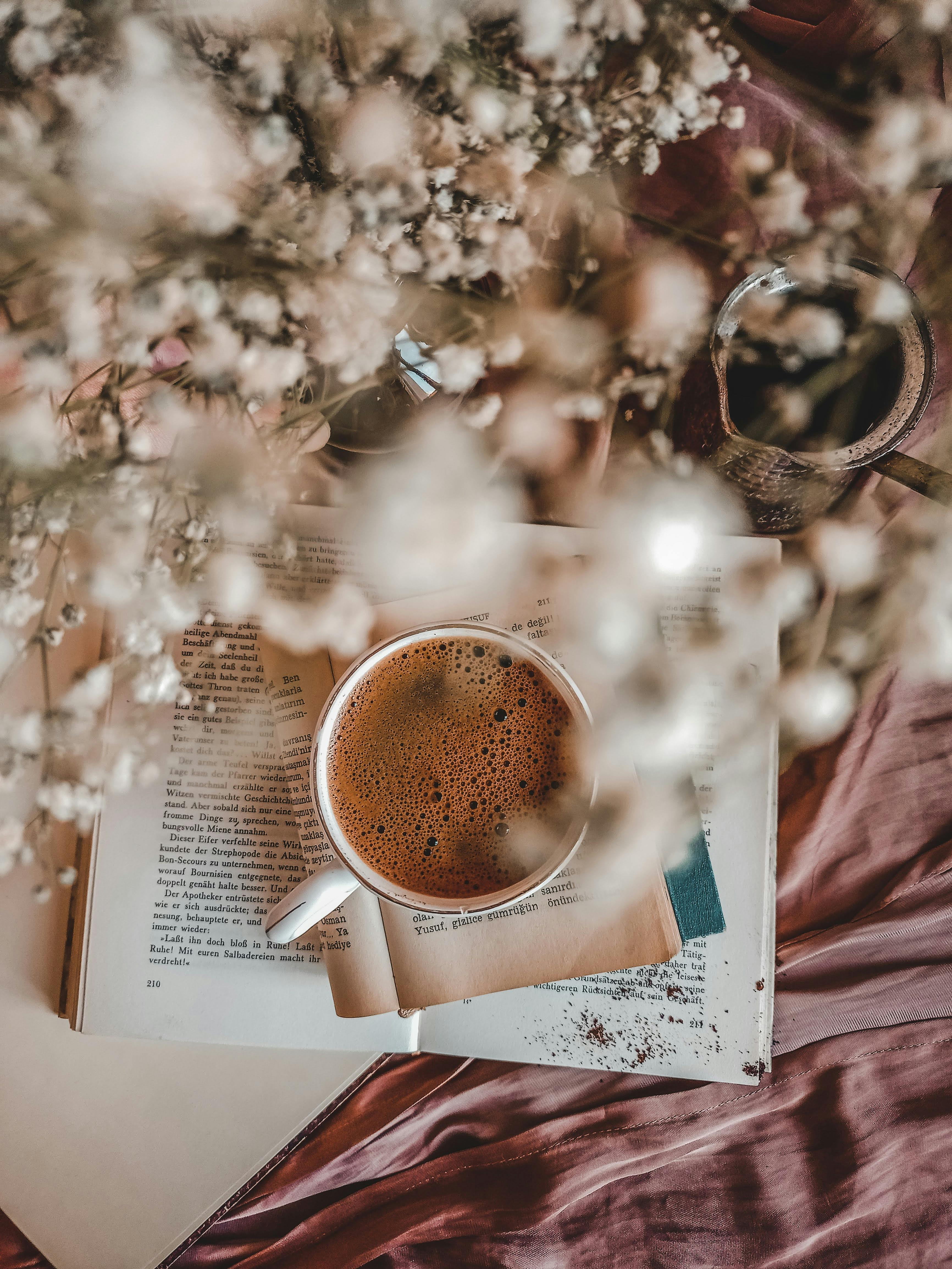 Hot Books Photos, Download The BEST Free Hot Books Stock Photos & HD Images