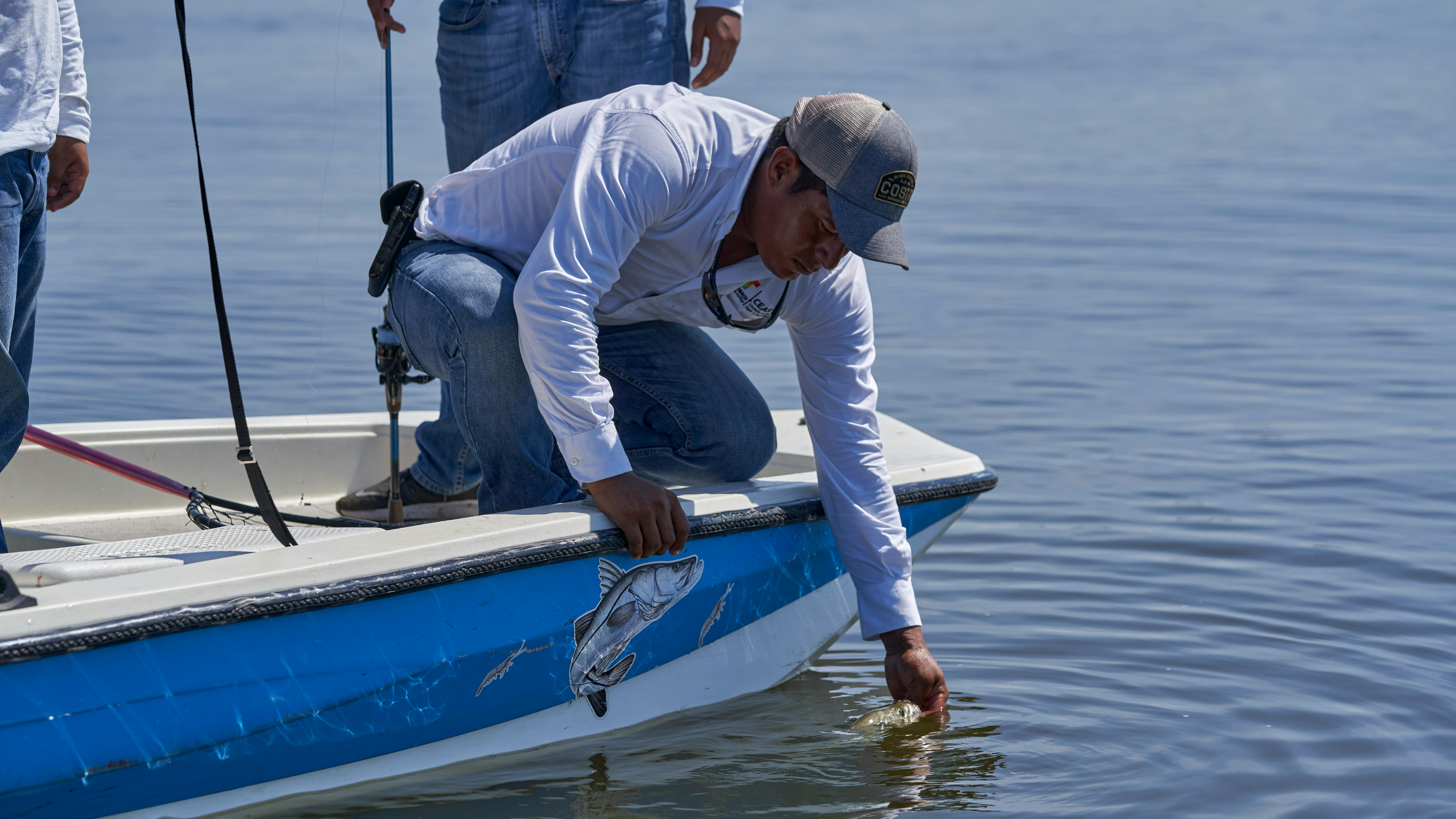 Man on Body of Water · Free Stock Photo