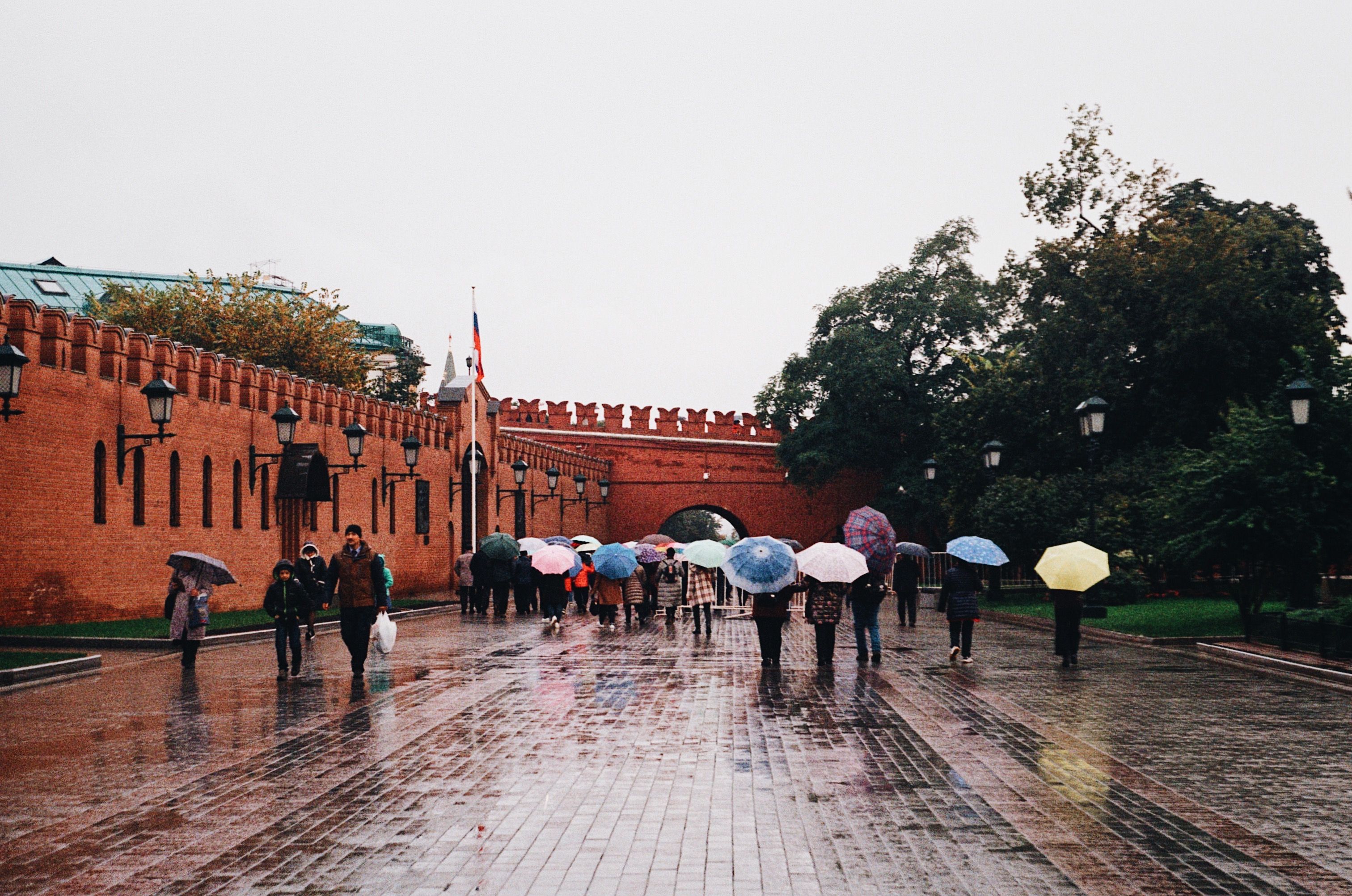 Person Holding An Umbrella · Free Stock Photo