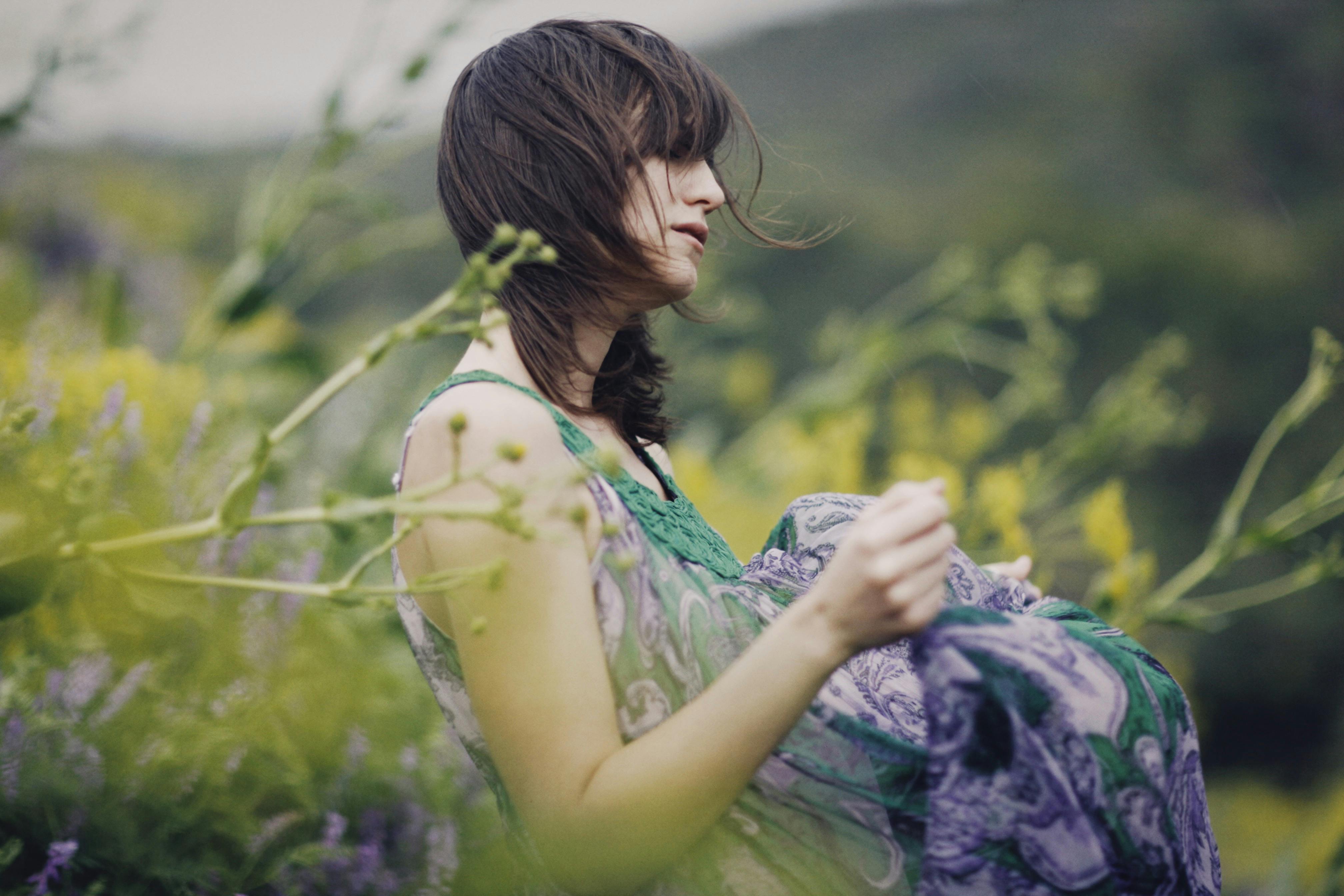 Windy Flower Photos, Download The BEST Free Windy Flower Stock Photos ...