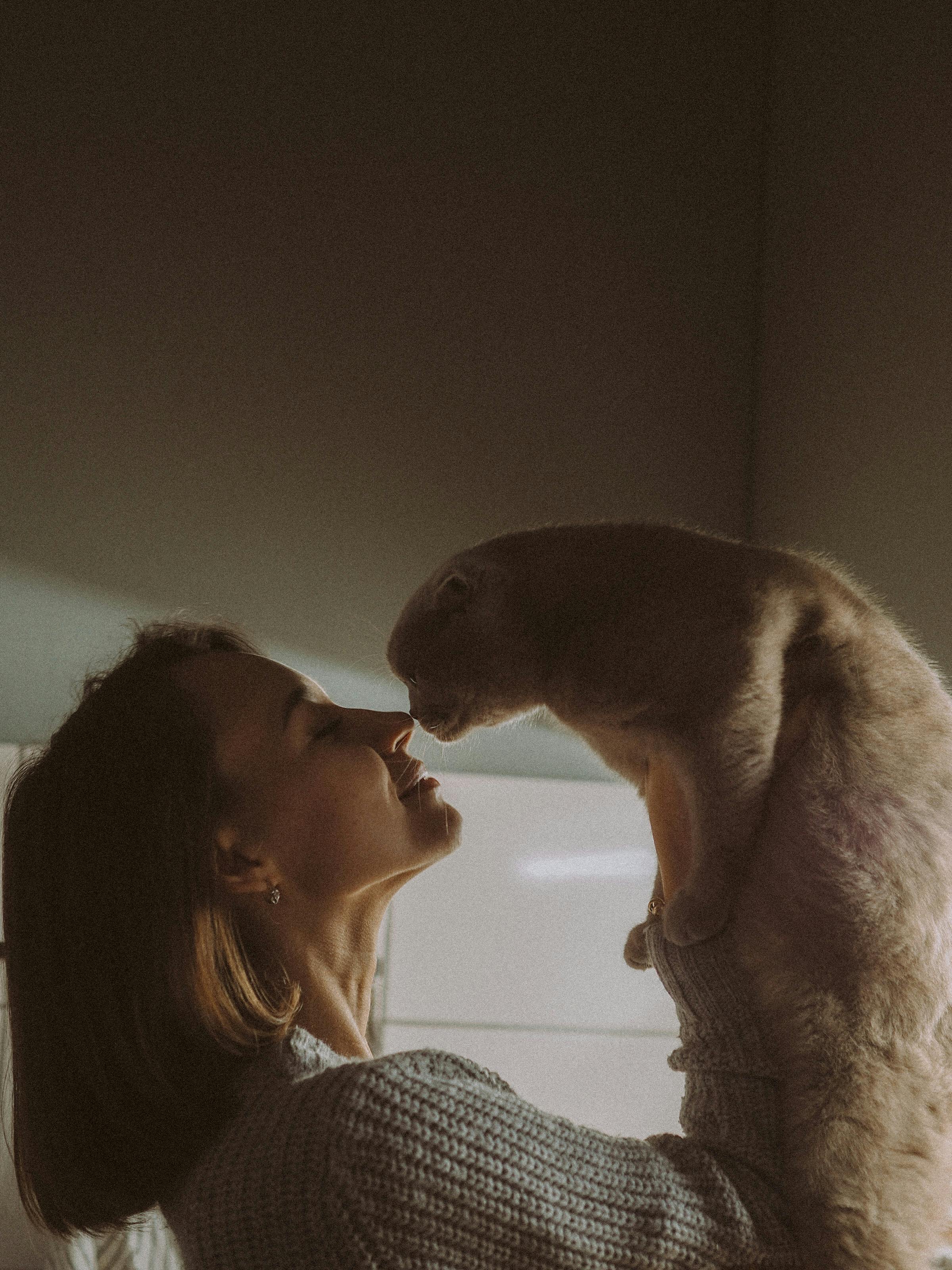 Pet Photos, Download The BEST Free Pet Stock Photos & HD Images