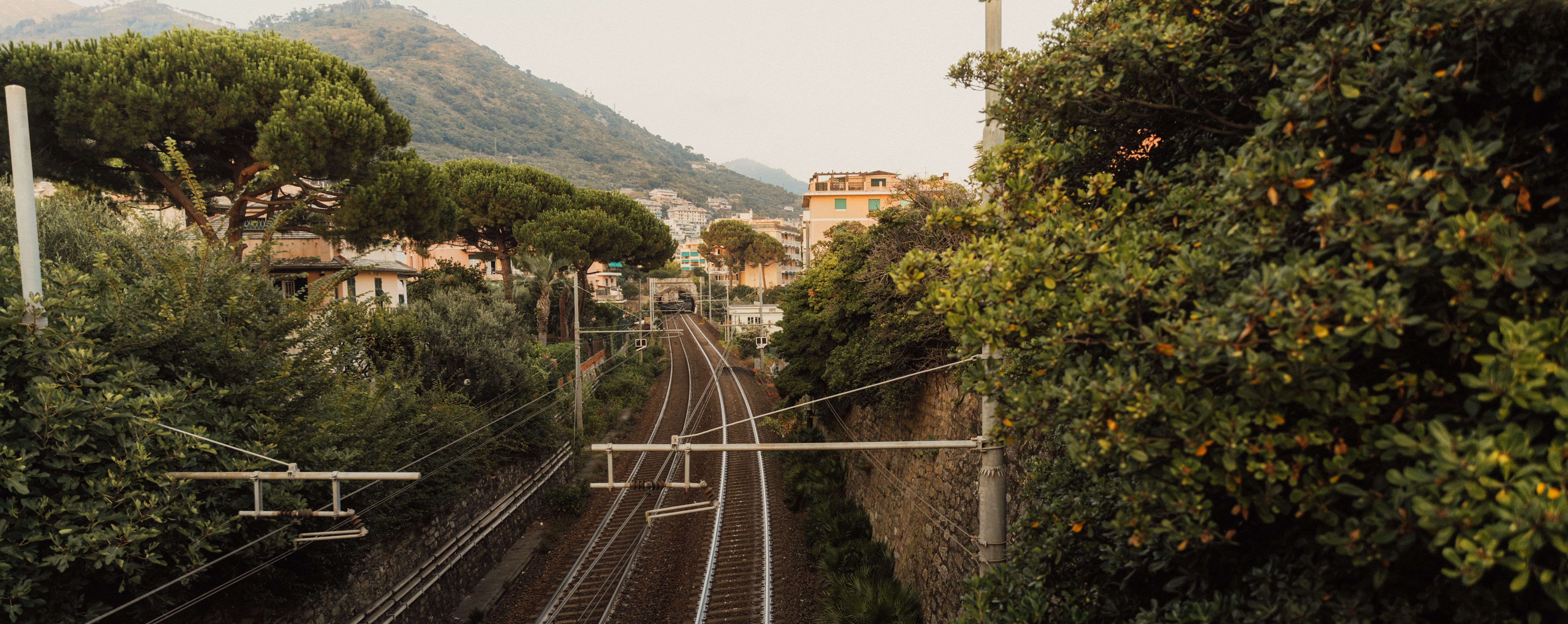 Railways Between Green Trees · Free Stock Photo
