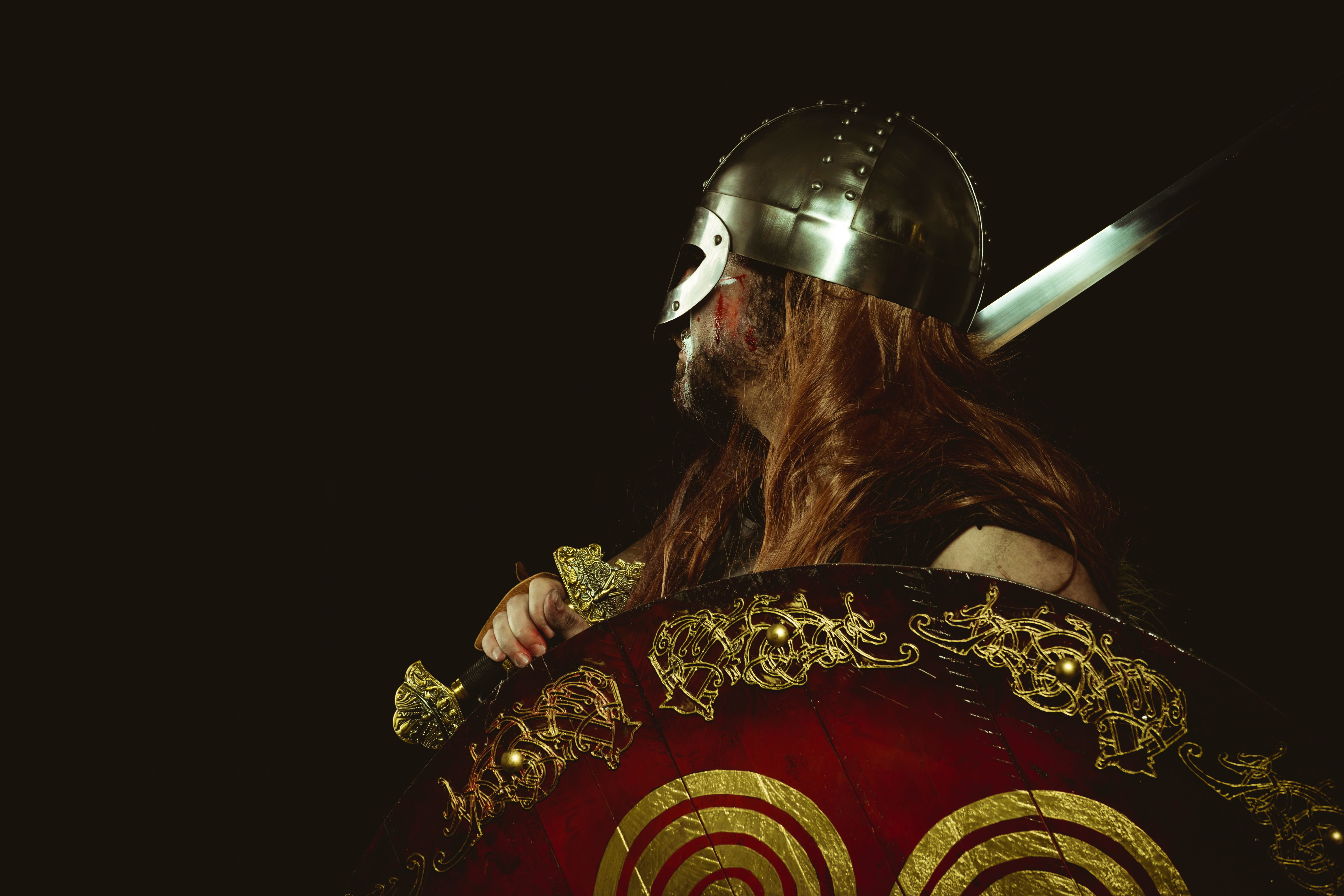 Shield Photos, Download The BEST Free Shield Stock Photos & HD Images