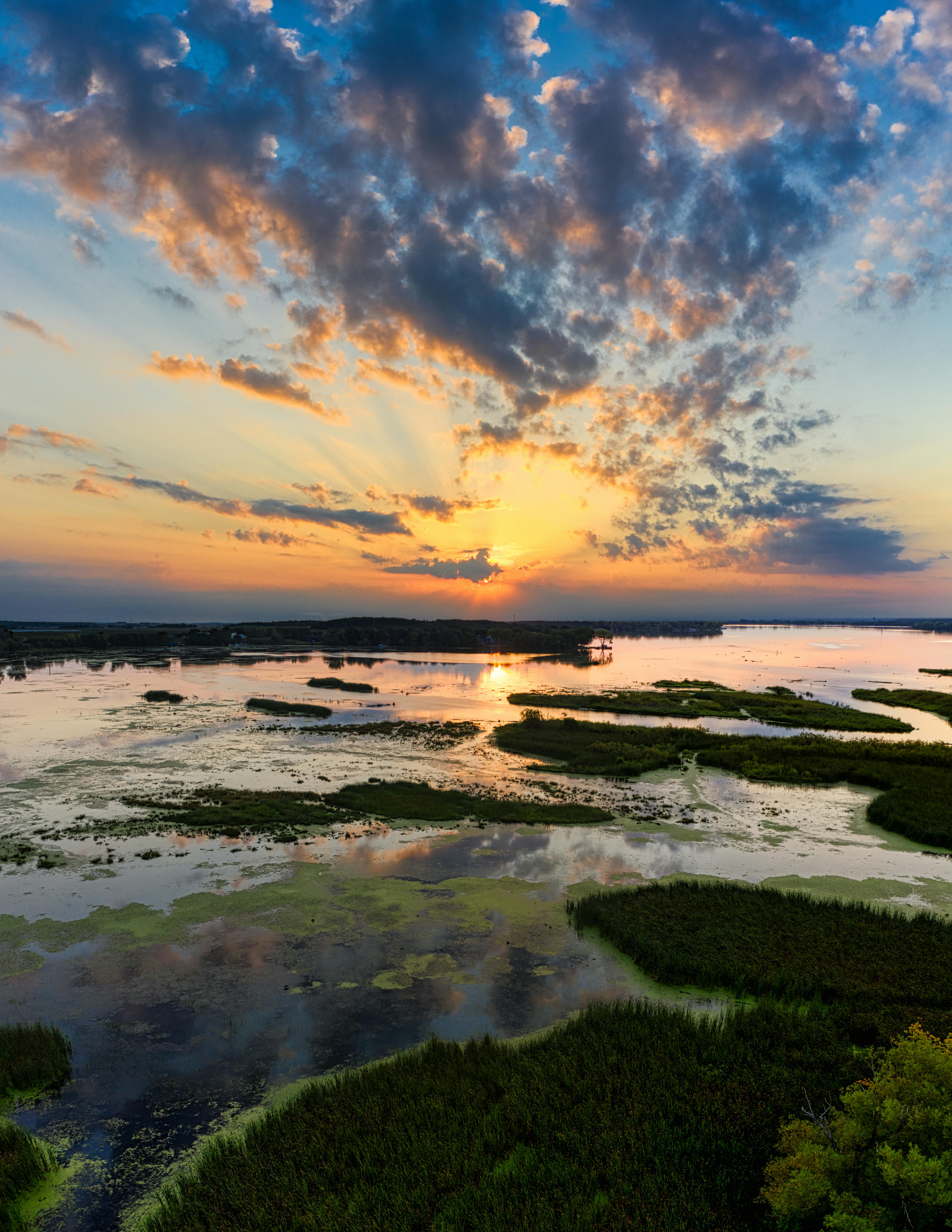 Drone Shot of a Wetland · Free Stock Photo