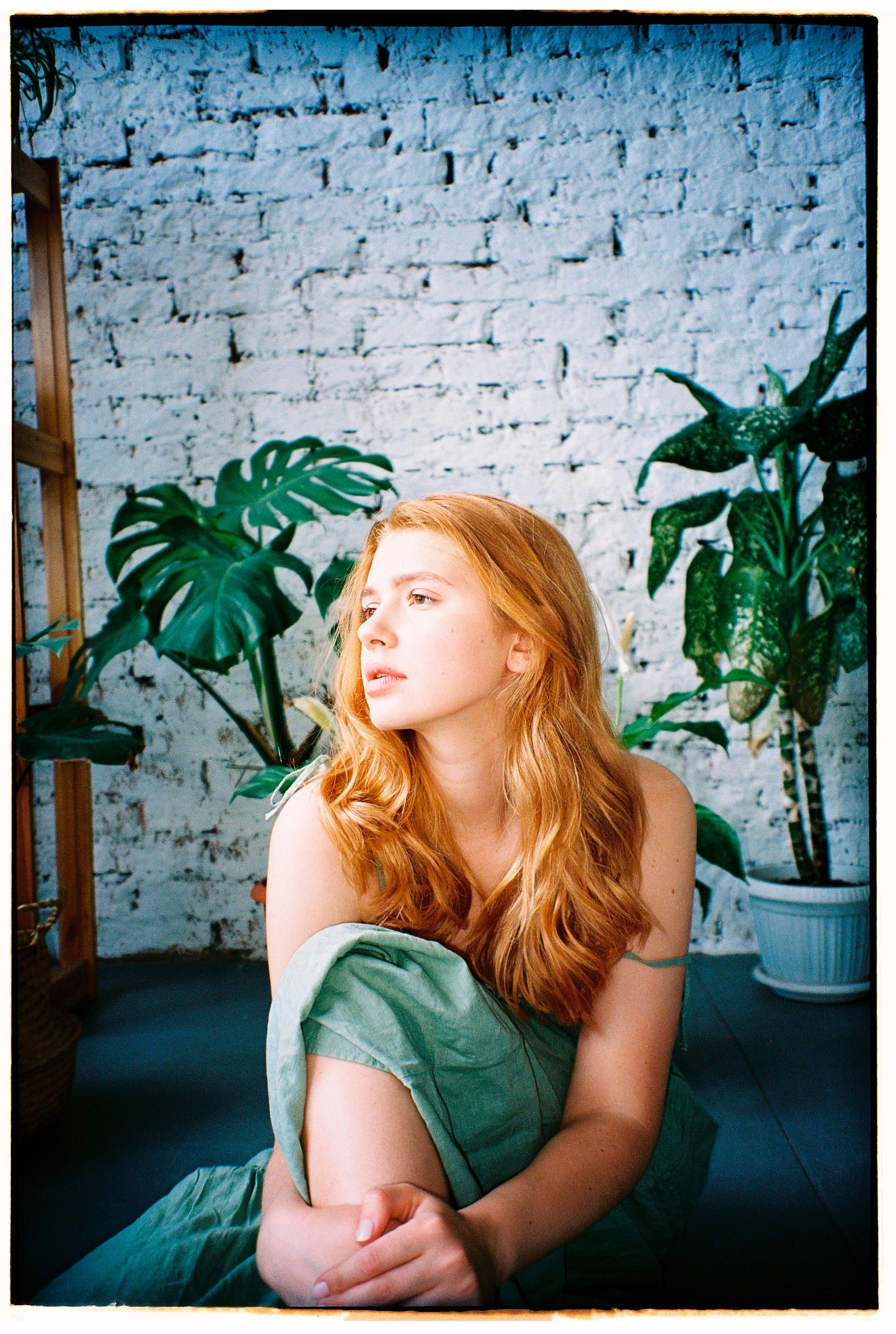 1,000+ Best Ginger Photos · 100% Free Download · Pexels Stock Photos