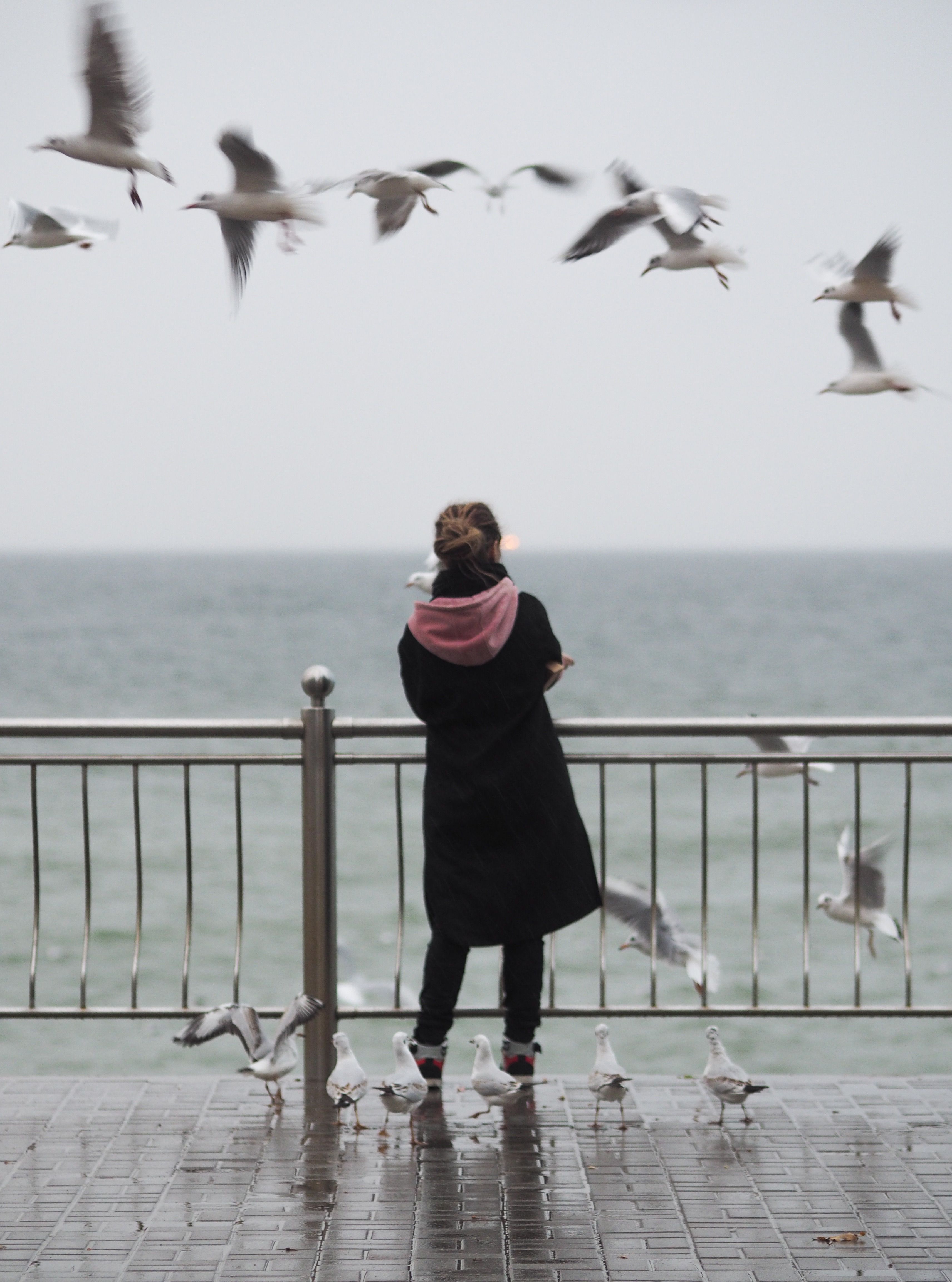 Man Looking at Sea View · Free Stock Photo