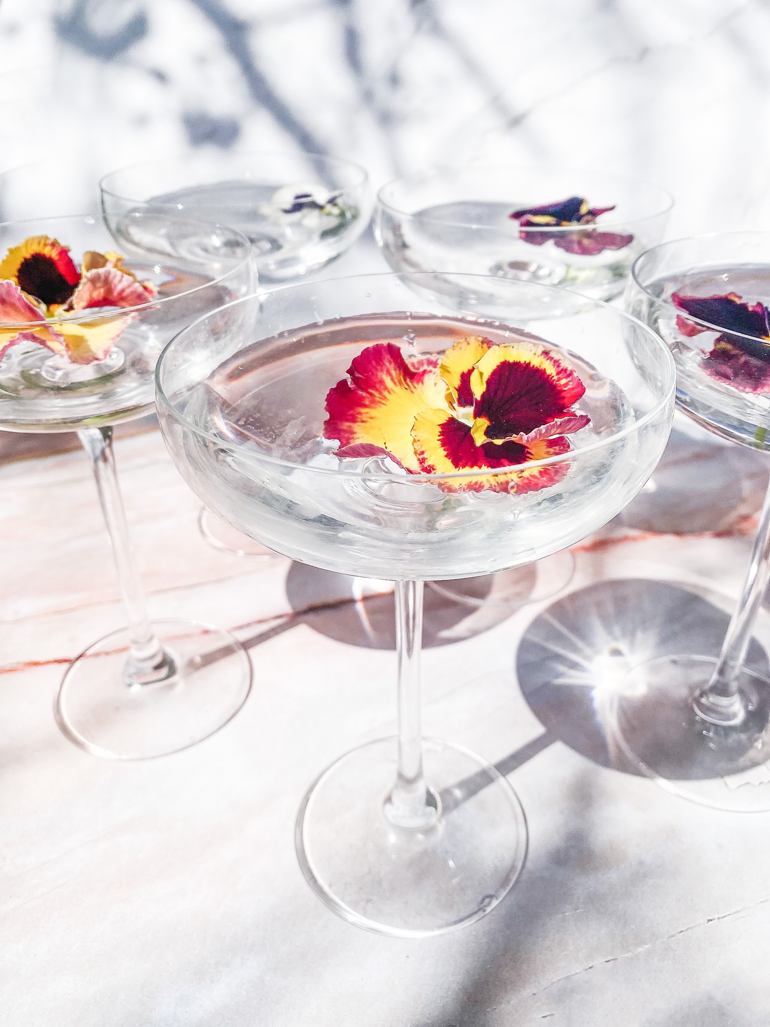 Clear Liquid in the Cocktail Glasses with Flowers · Free Stock Photo