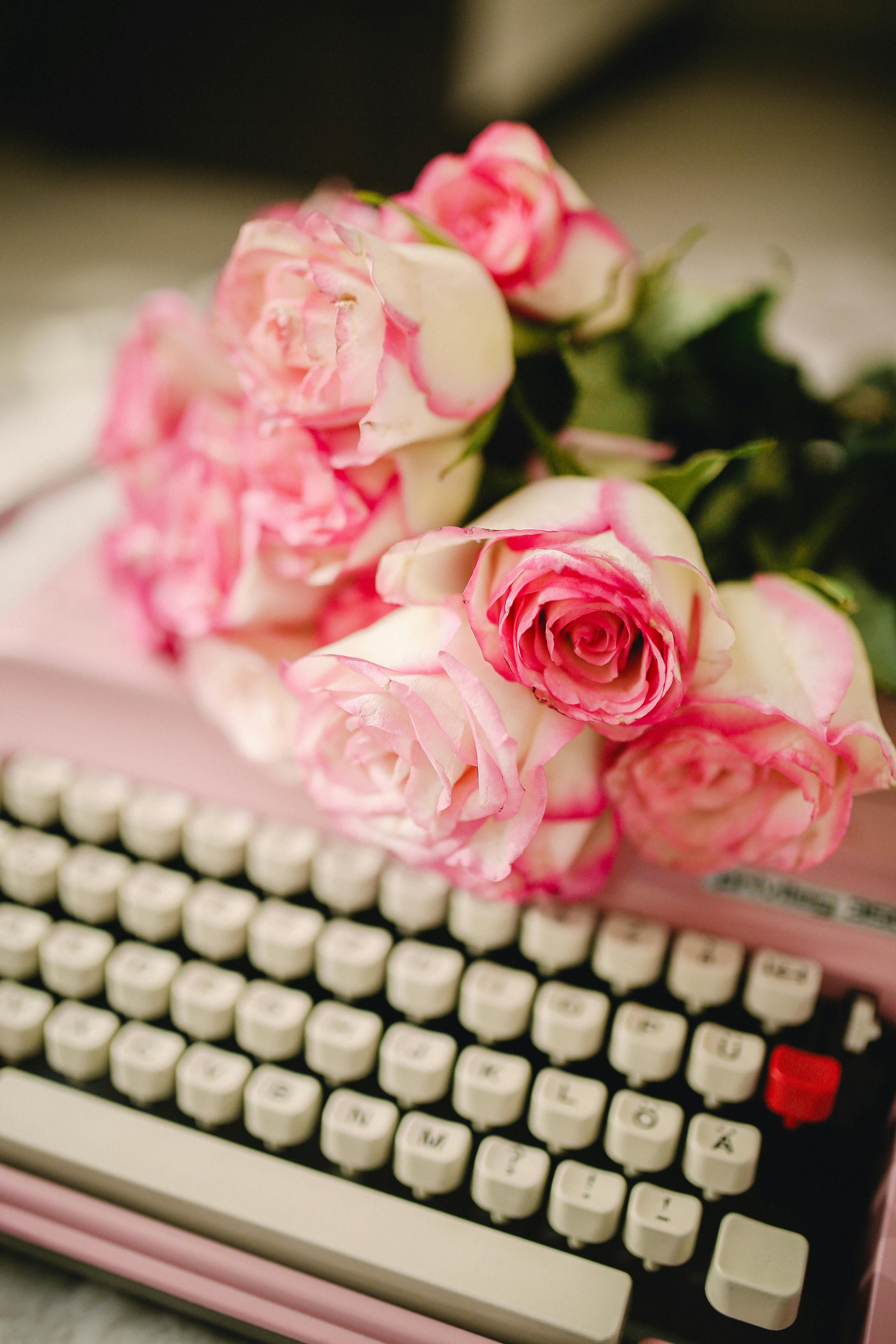 Roses on Typing Machine · Free Stock Photo