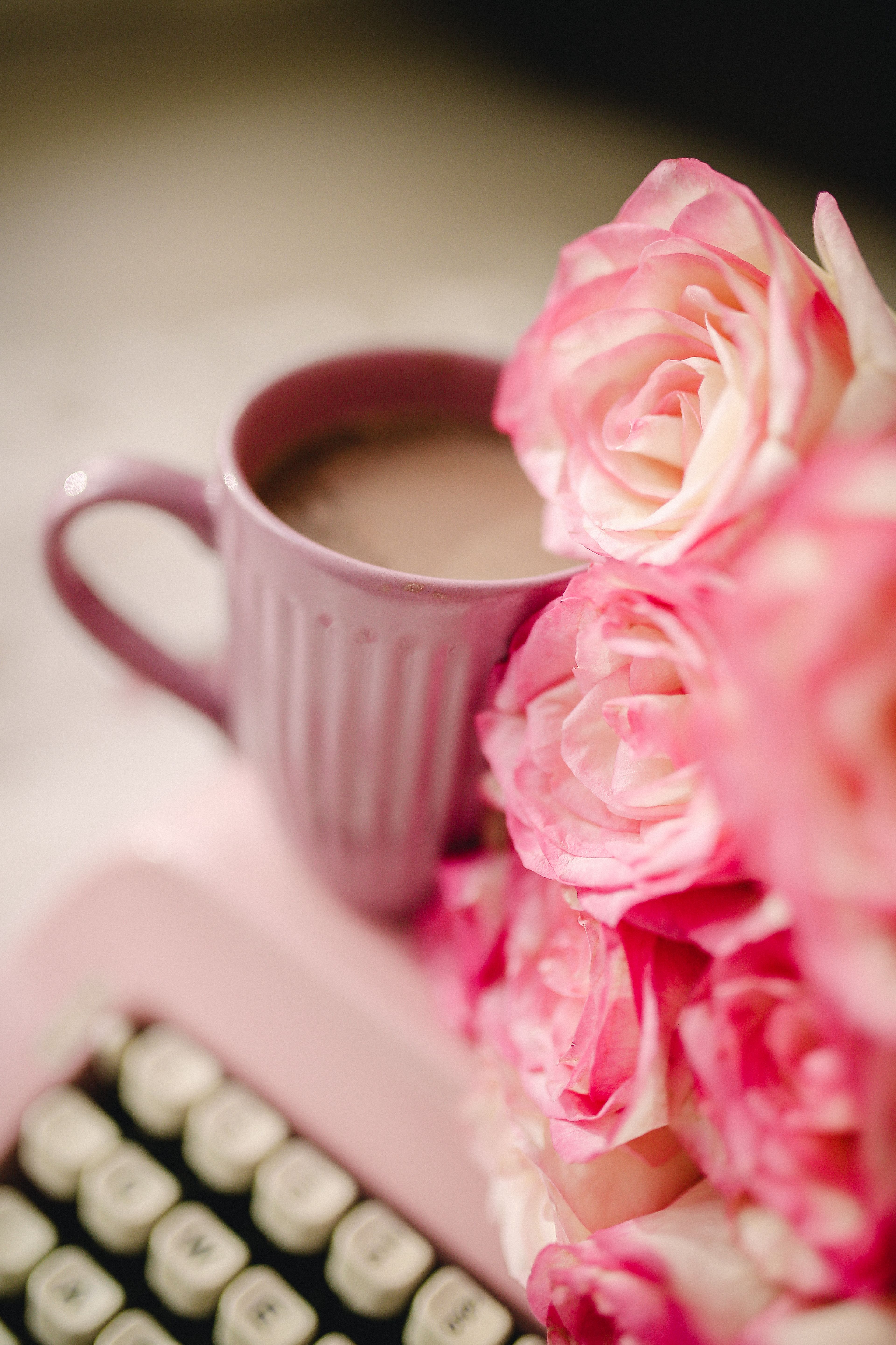 Roses on Typing Machine · Free Stock Photo