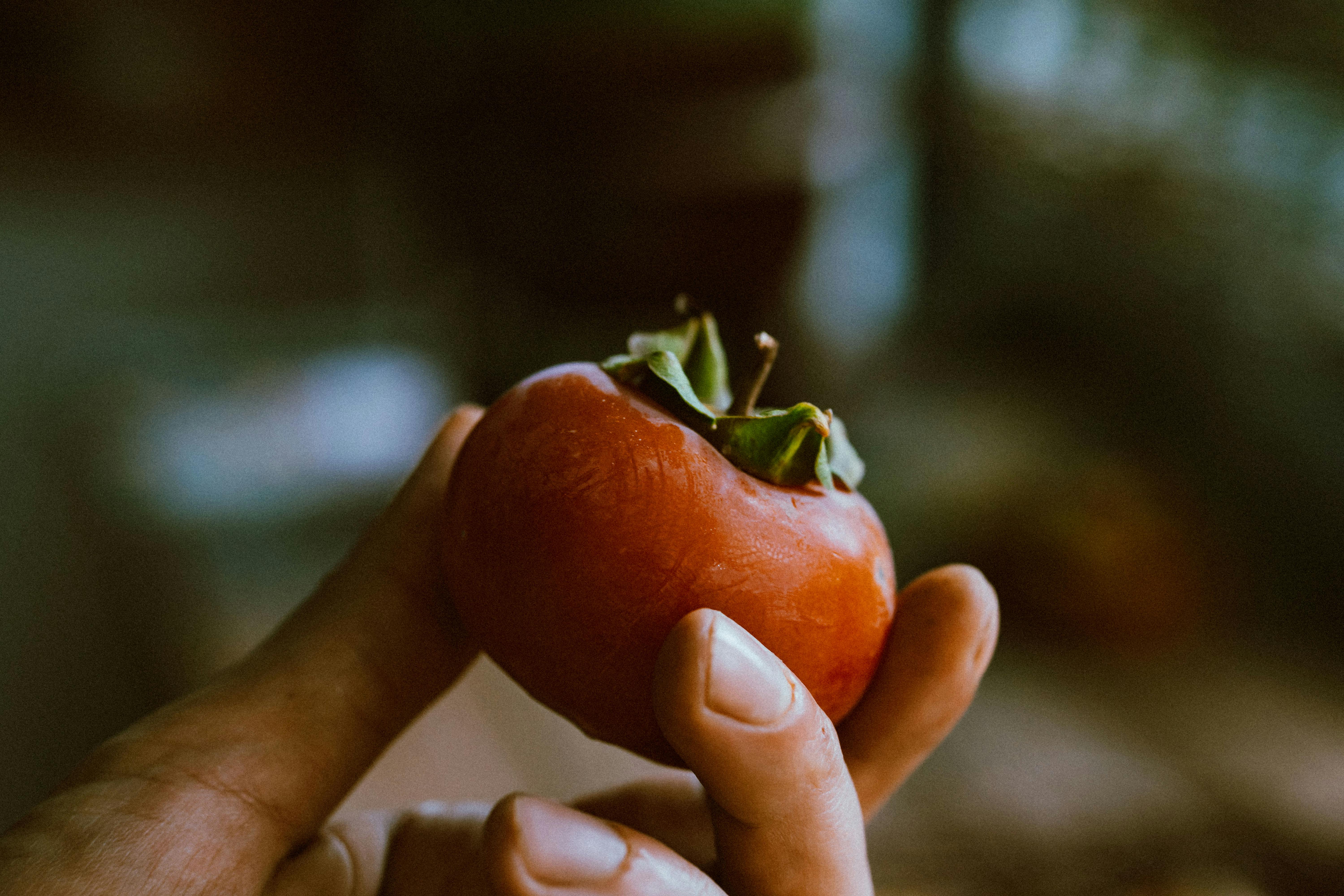 Close-up view of Persimmon · Free Stock Photo