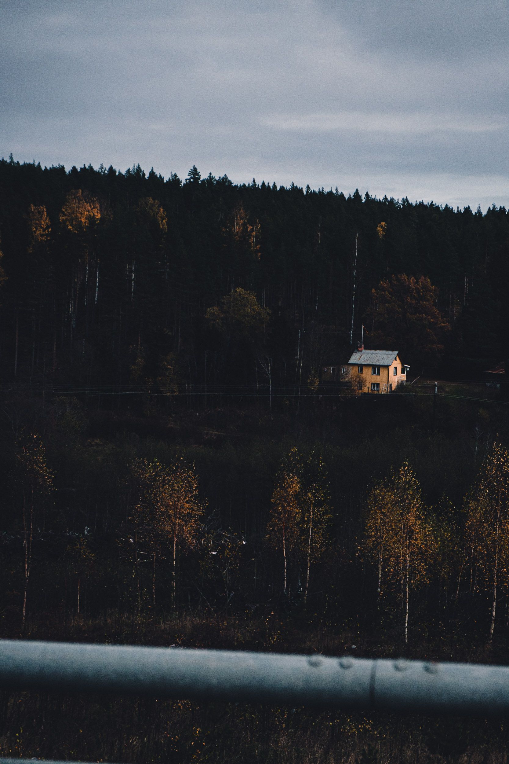 Overlooking Forest Photos, Download The BEST Free Overlooking Forest ...