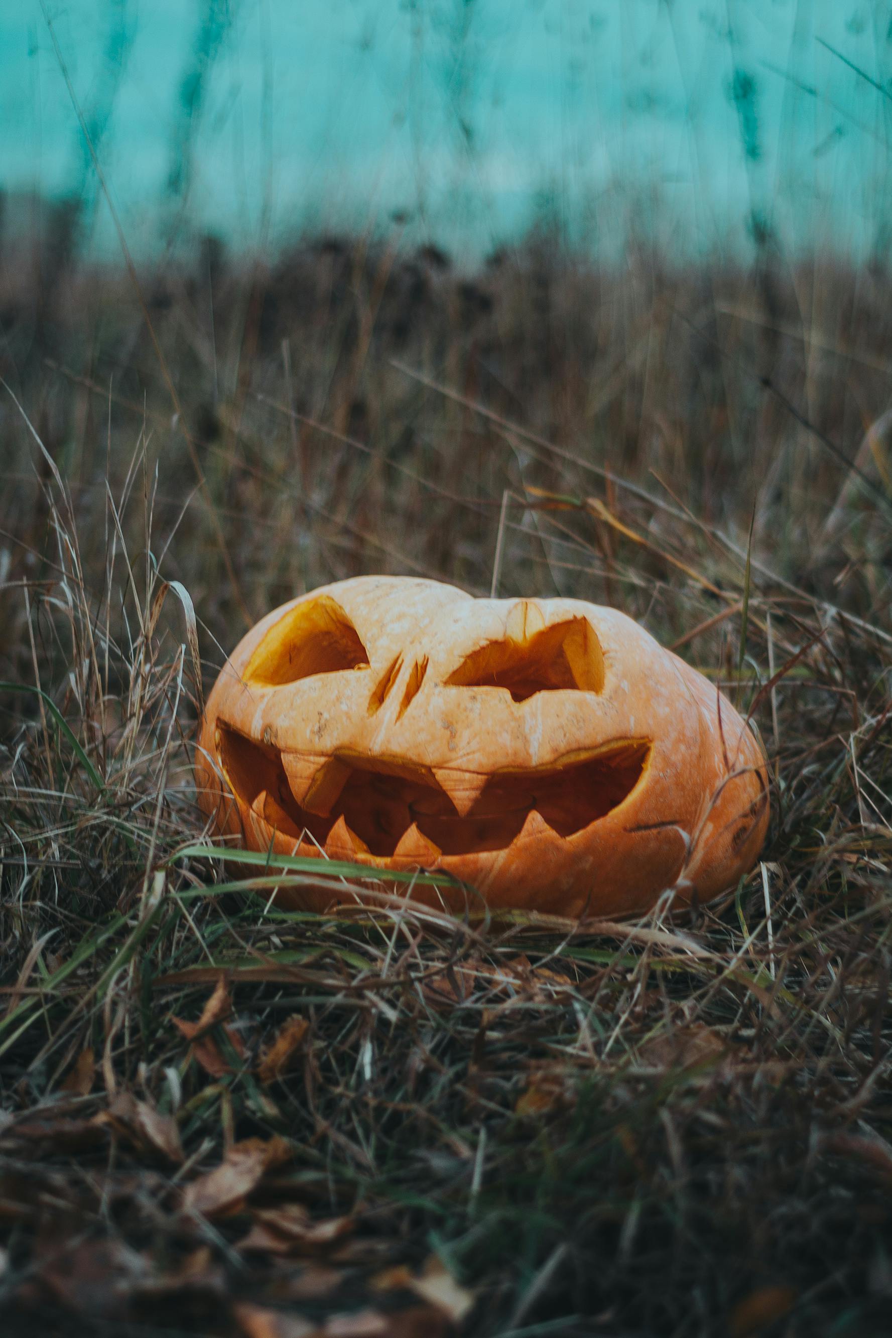 Grayscale Photo of Skull Biting a Pumpkin · Free Stock Photo