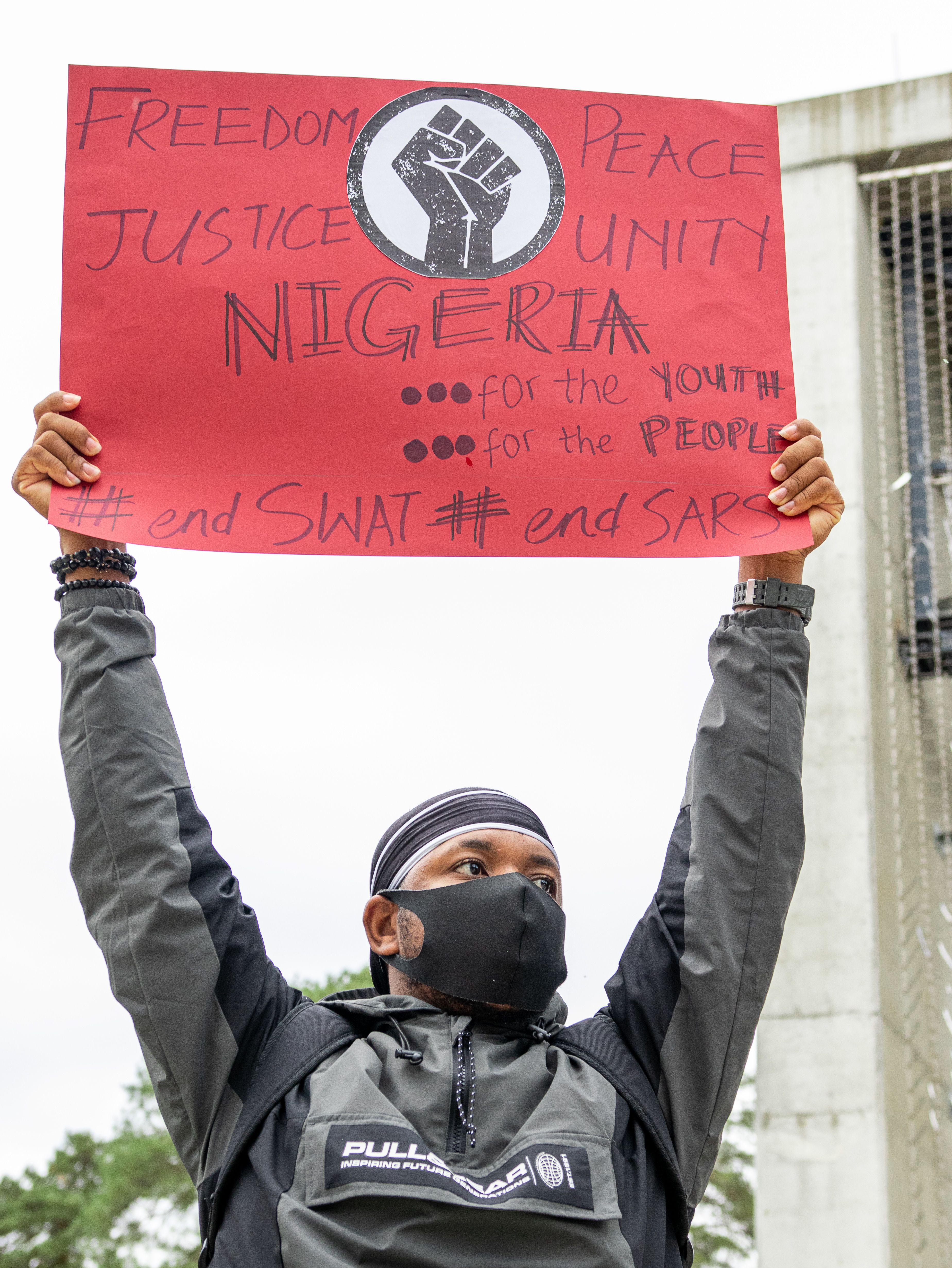 Activist holding a Placard · Free Stock Photo