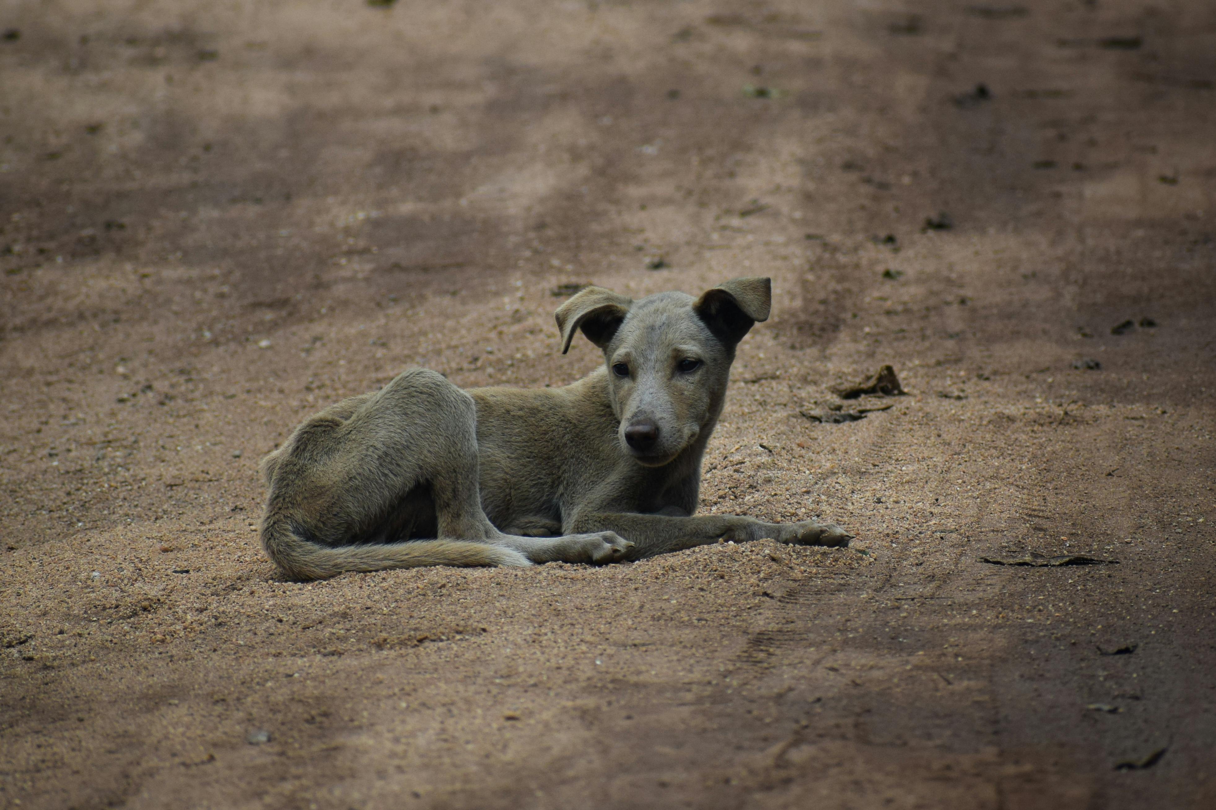 Waiting Animation Photos, Download The BEST Free Waiting Animation ...