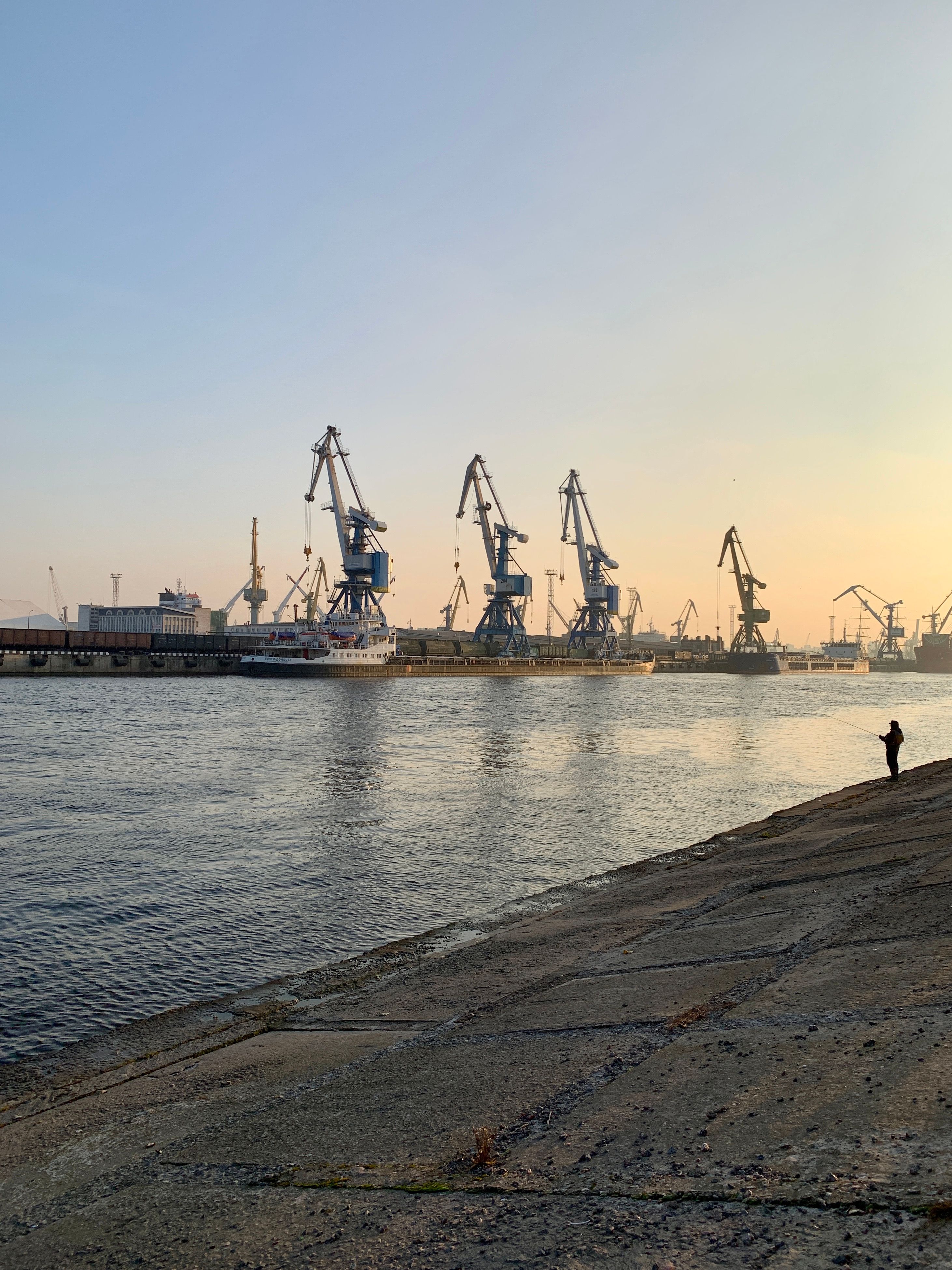 Fishing Cranes Photos, Download The BEST Free Fishing Cranes Stock ...