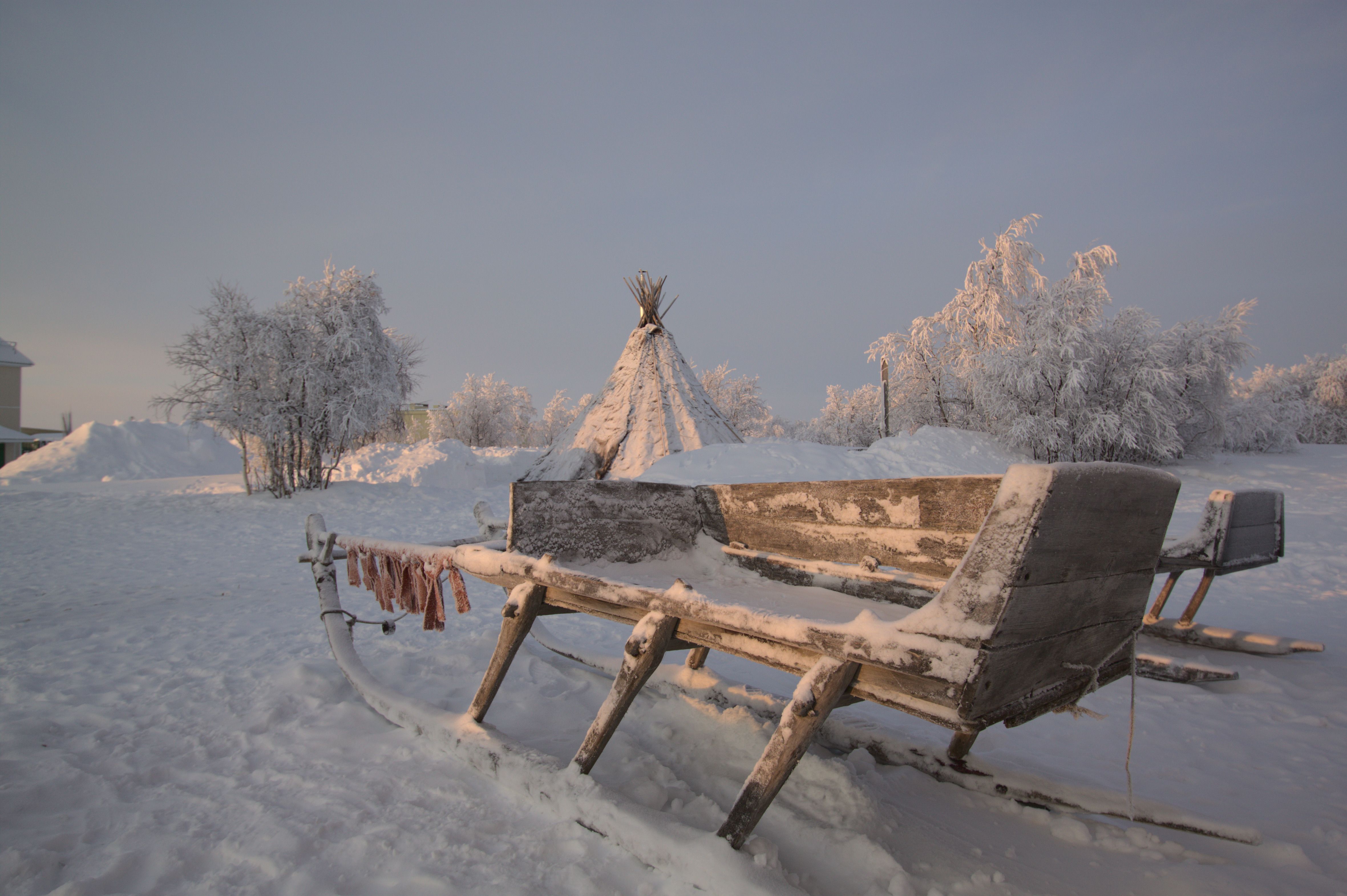 Sledge on Snow · Free Stock Photo