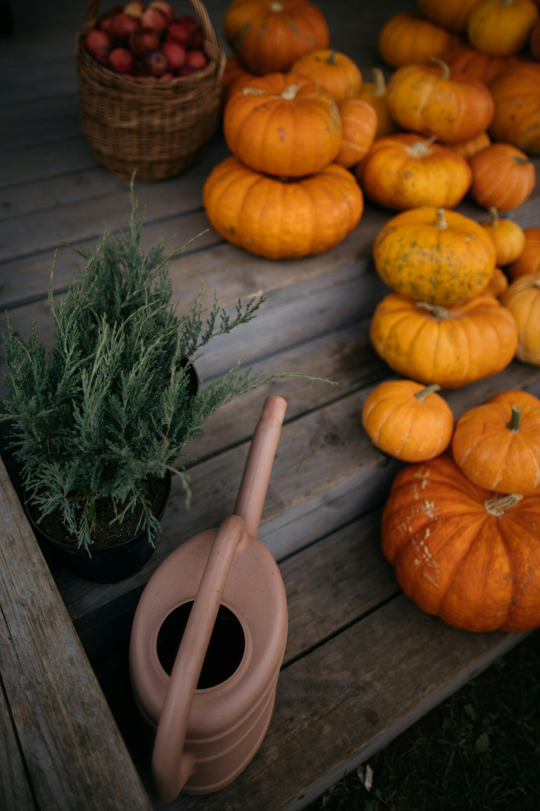 Watering Can and Pumpkins · Free Stock Photo