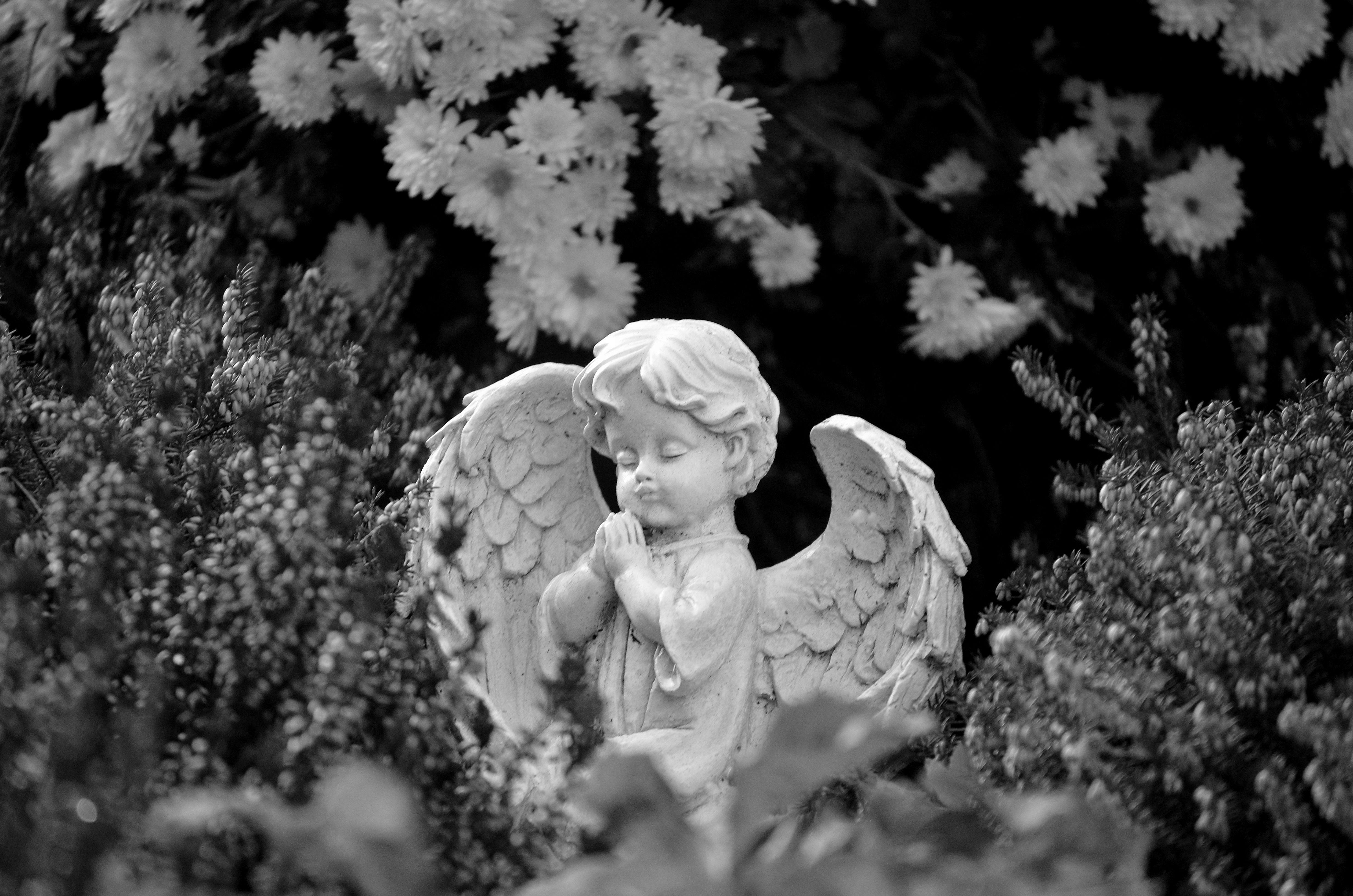Grayscale Photo of Angel Statue · Free Stock Photo