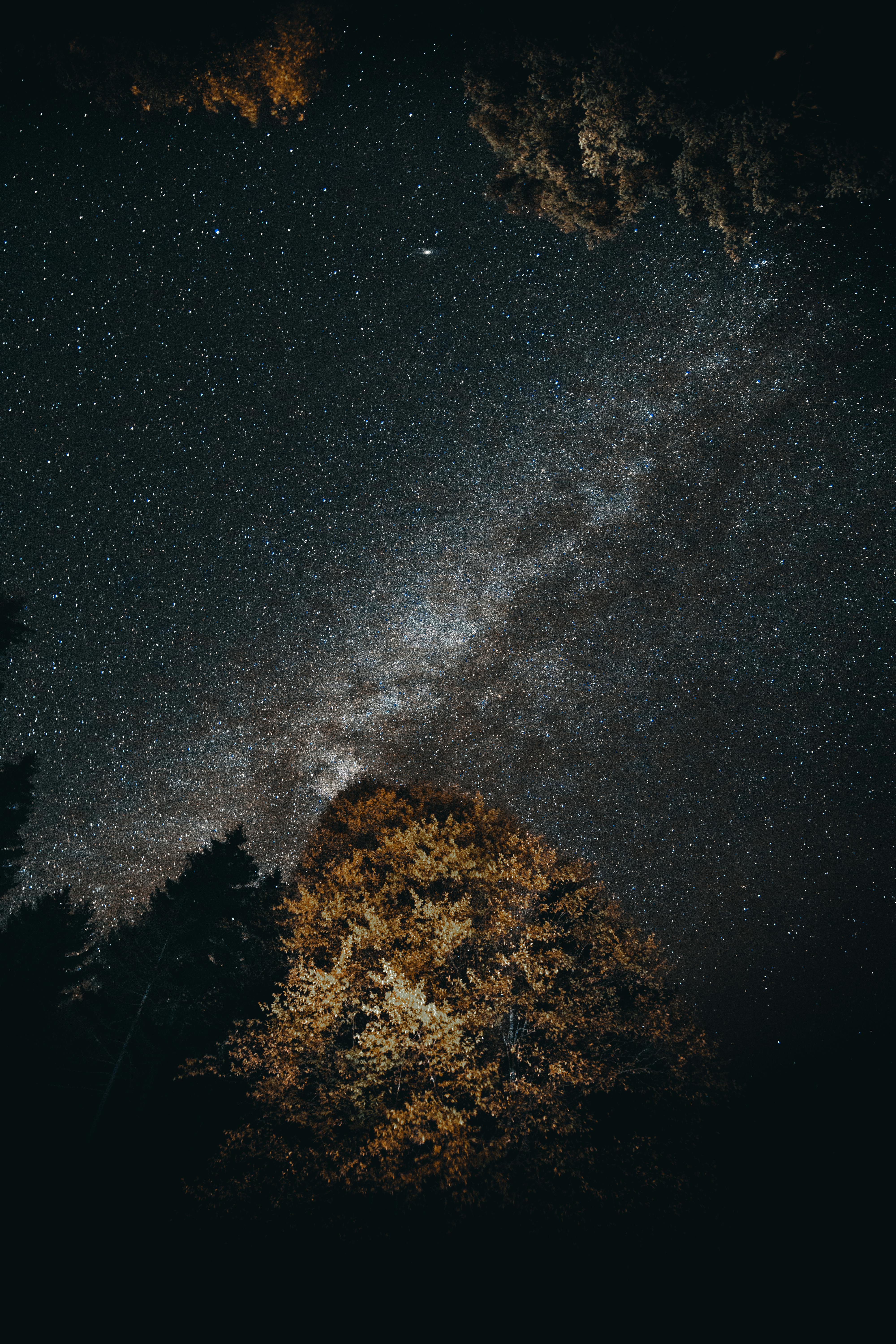 Static Stars Photos, Download The BEST Free Static Stars Stock Photos ...