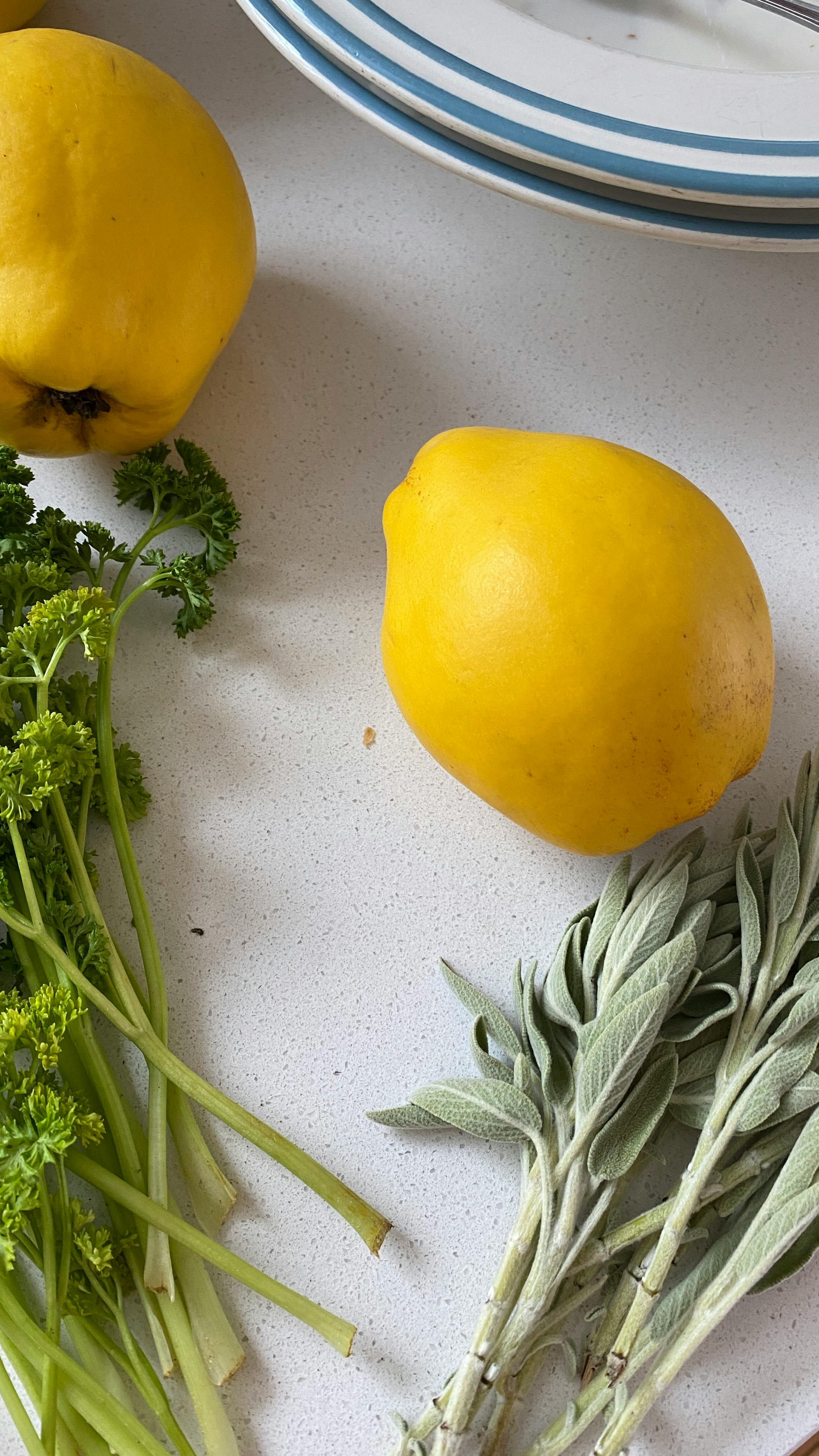 Stripe Shadows on the Lemons · Free Stock Photo