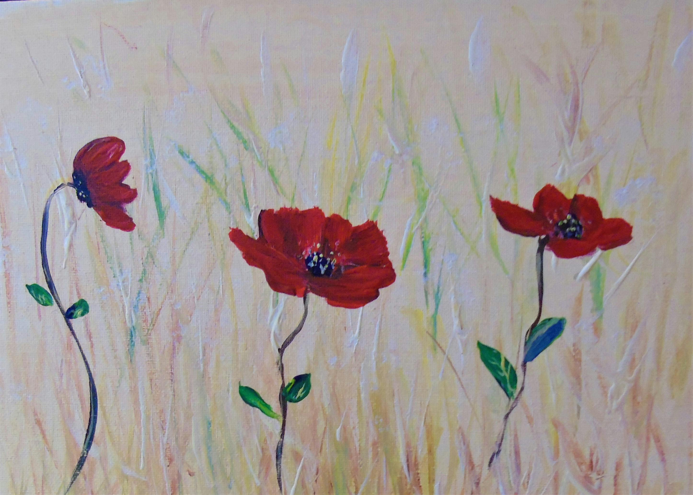 Allison Prior - Fotografía