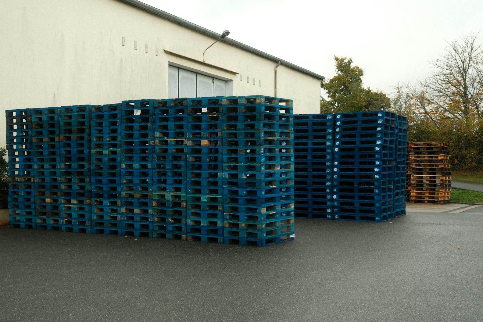 IPPC Pallets: Understanding ISPM-15 Heat Treatment and More