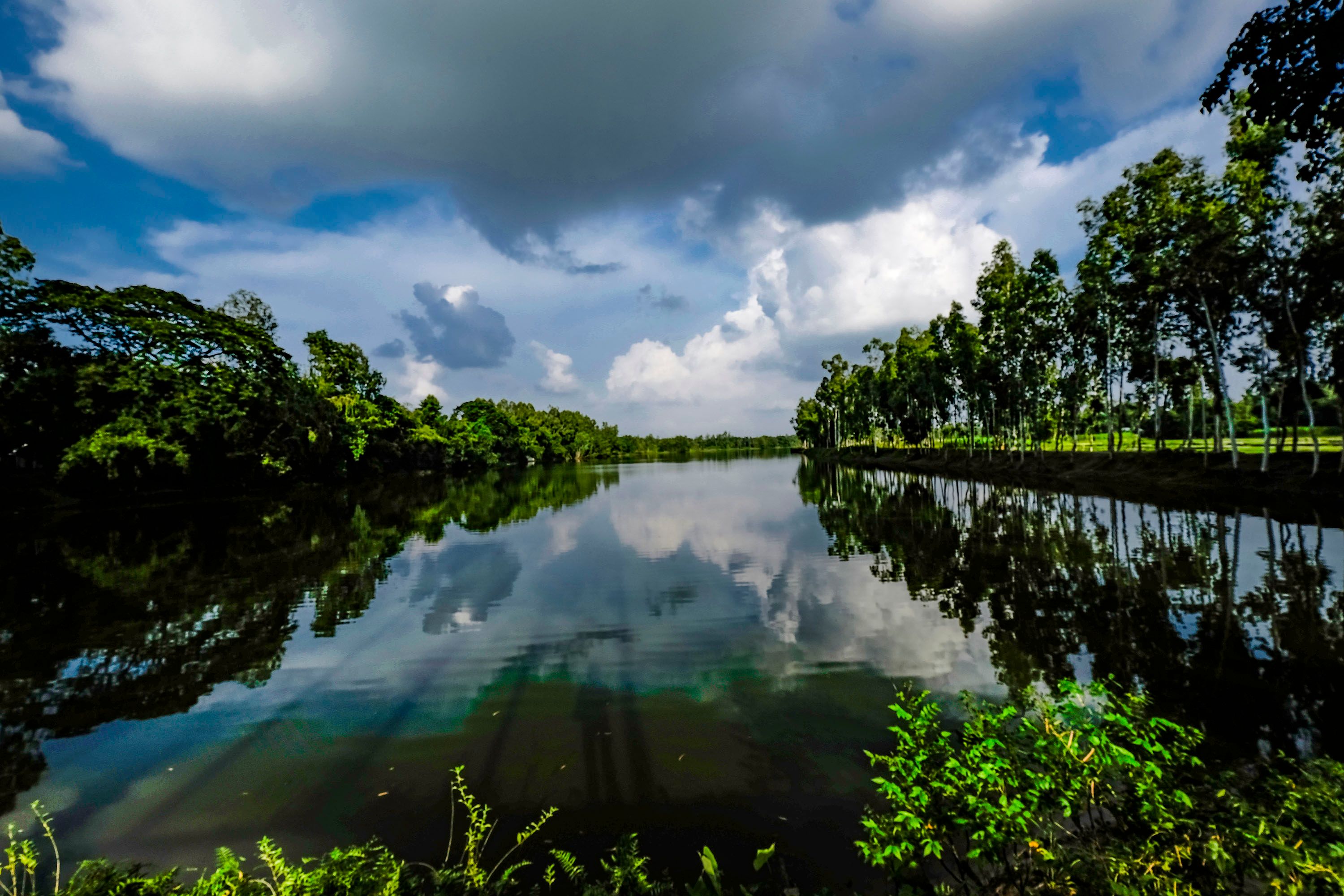 Free stock photo of riverscape