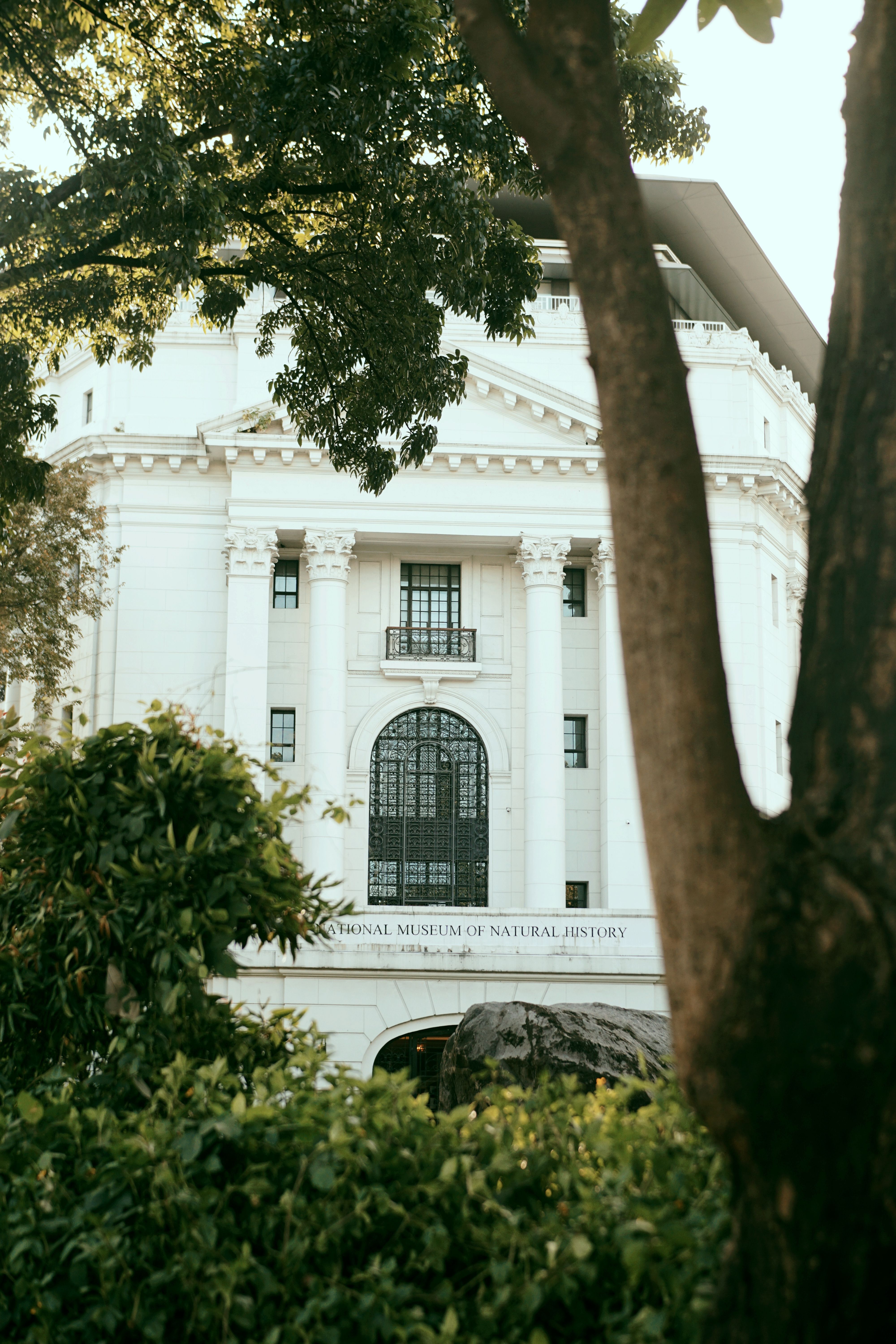 Photo of a Museum's Exterior · Free Stock Photo