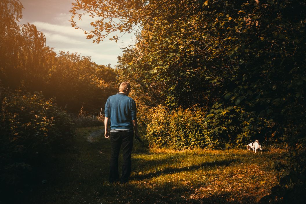 How Do Male Dogs Pee and Why They Lift Legs While Urinating