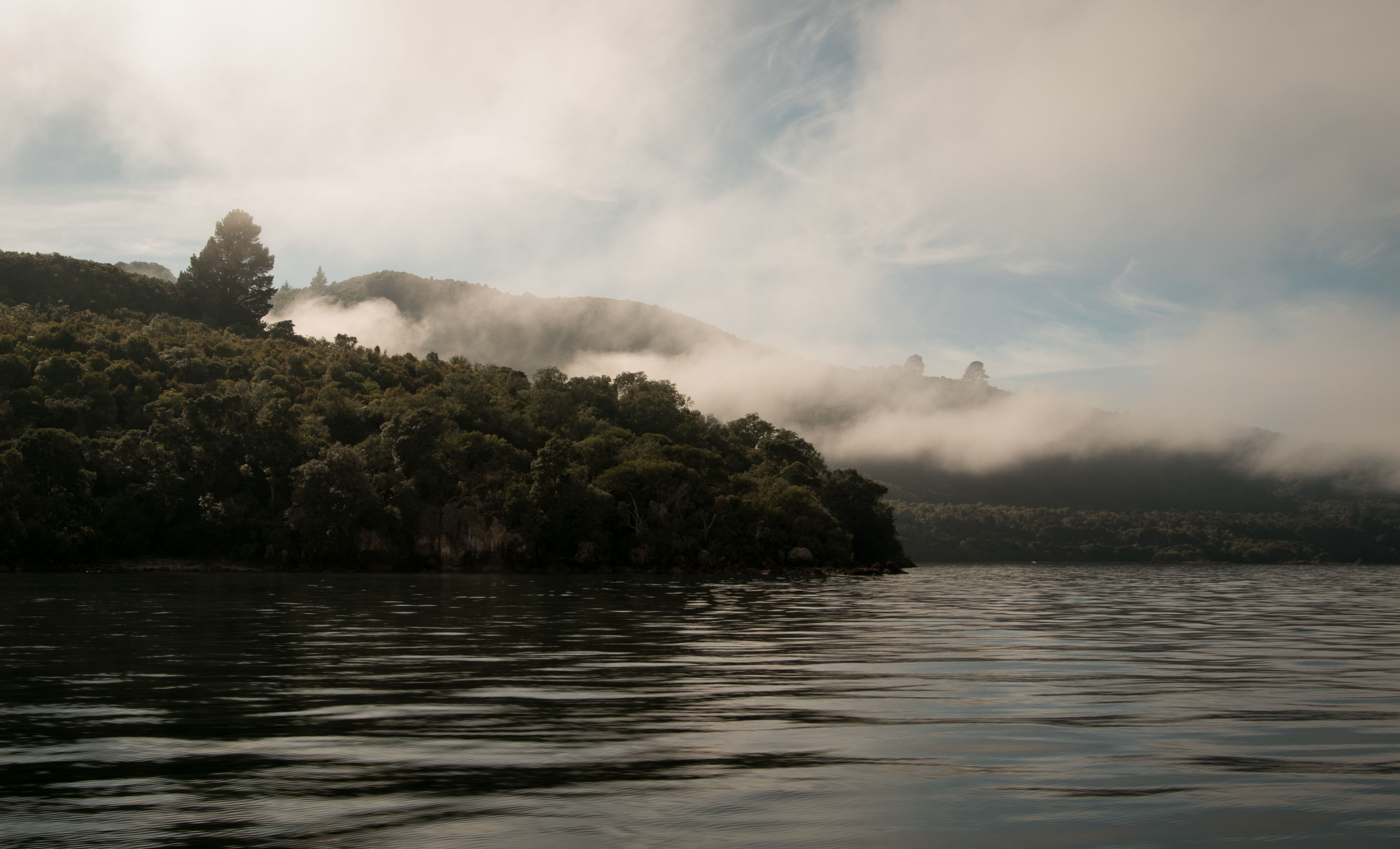 Fog Floating Over a Forested Lakeshore · Free Stock Photo